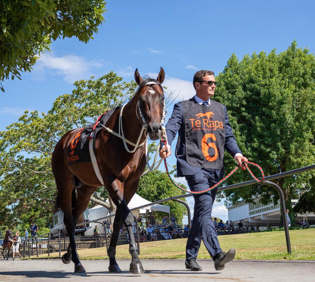 Young Gun Q&A: Todd Pollard