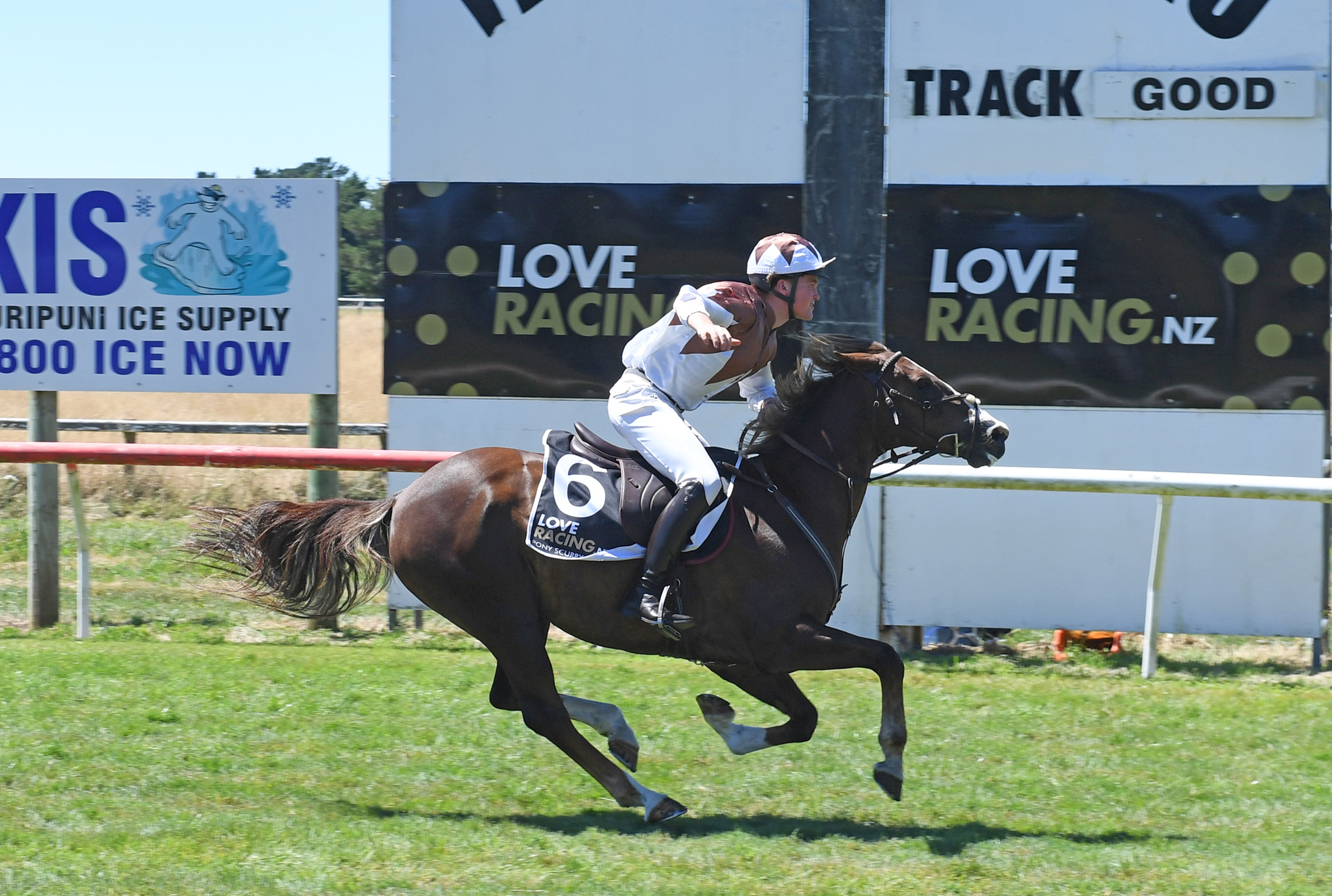 Meet Henry Martin: LOVERACING.NZ Pony Scurry Rider