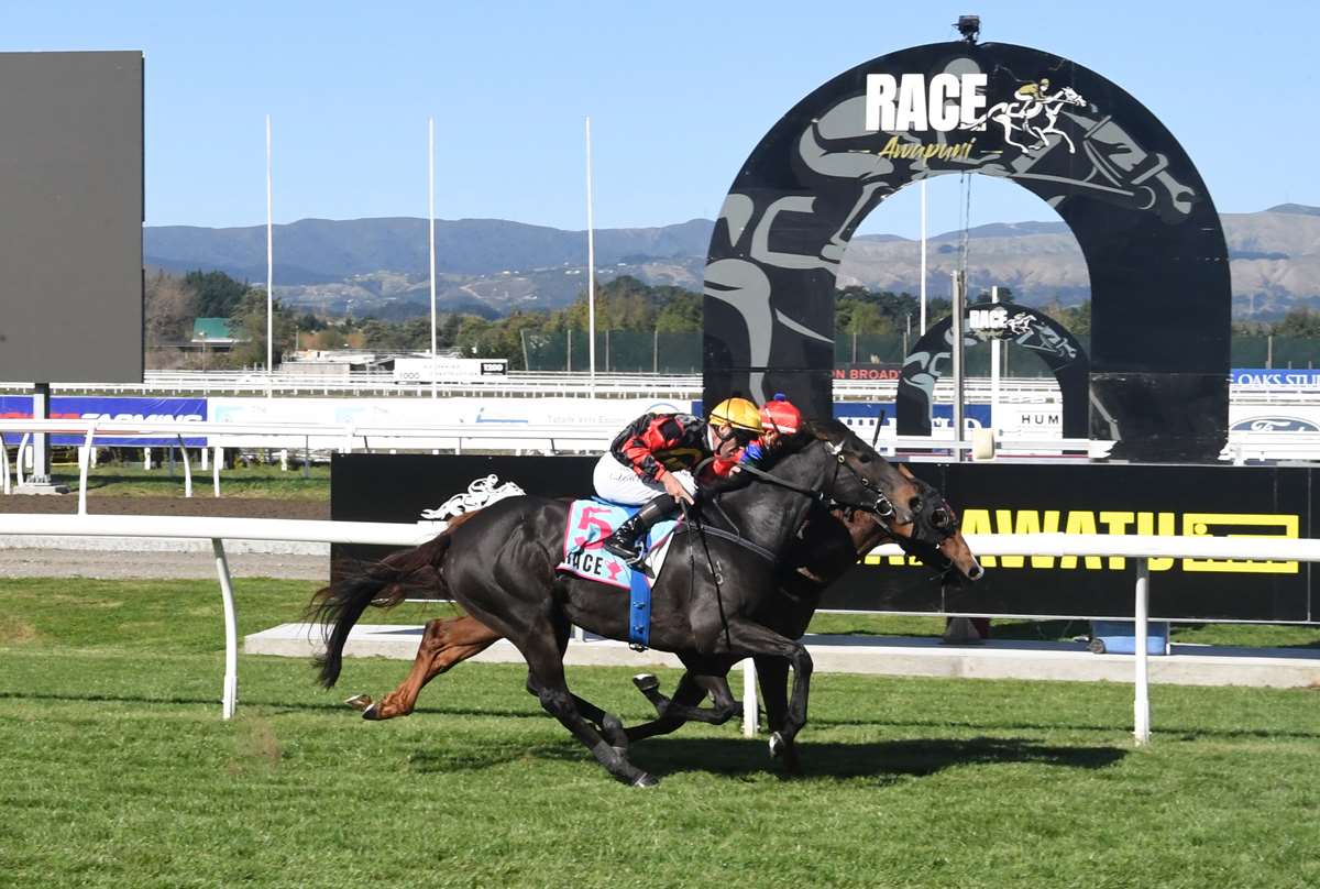 RACE Awapuni Remediation Progressing Under Specialist Oversight