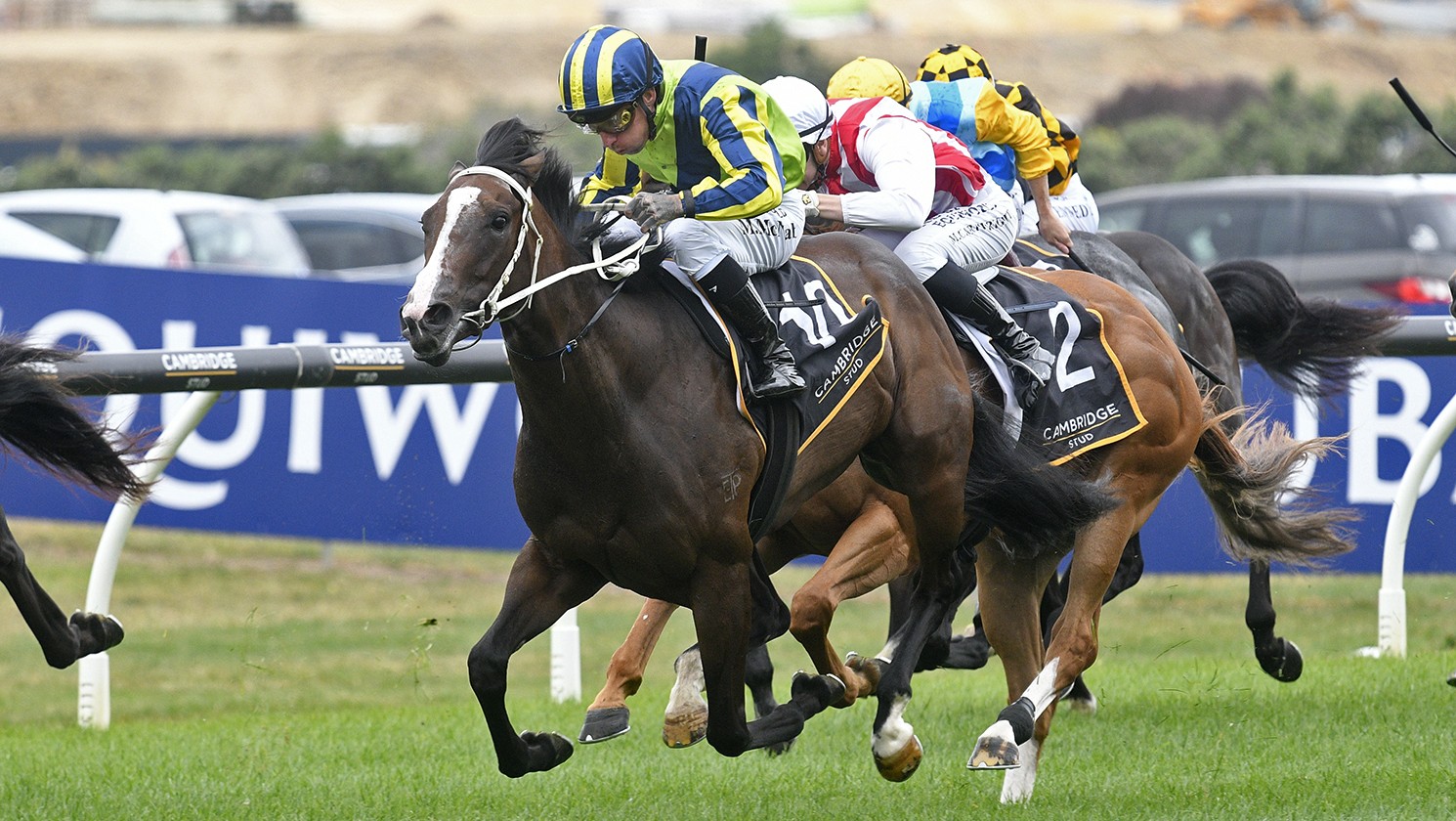 The King’s Men rally for NZB Kiwi slot