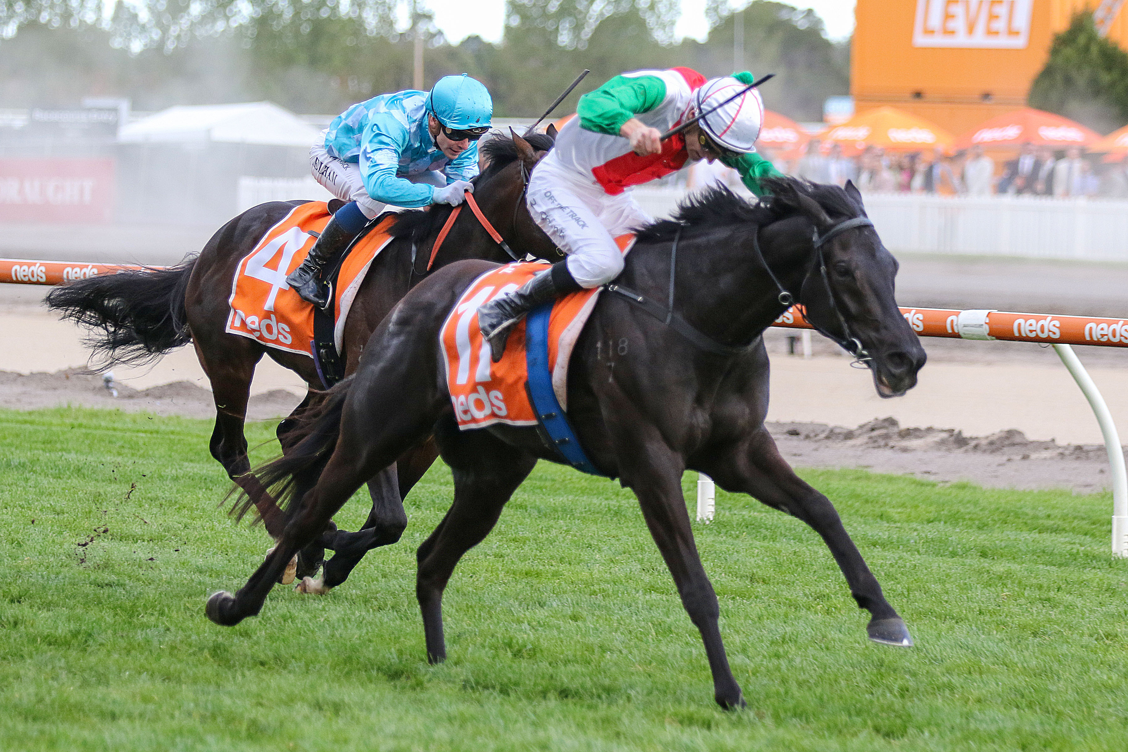 Forsman secures Dee for Aegon’s next Group One assignment