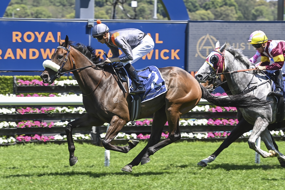 Gutsy Khan has stamina in spades