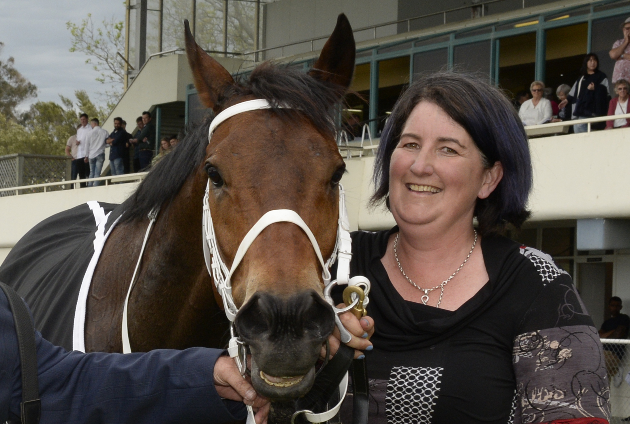 Veteran galloper does all the talking at Awapuni