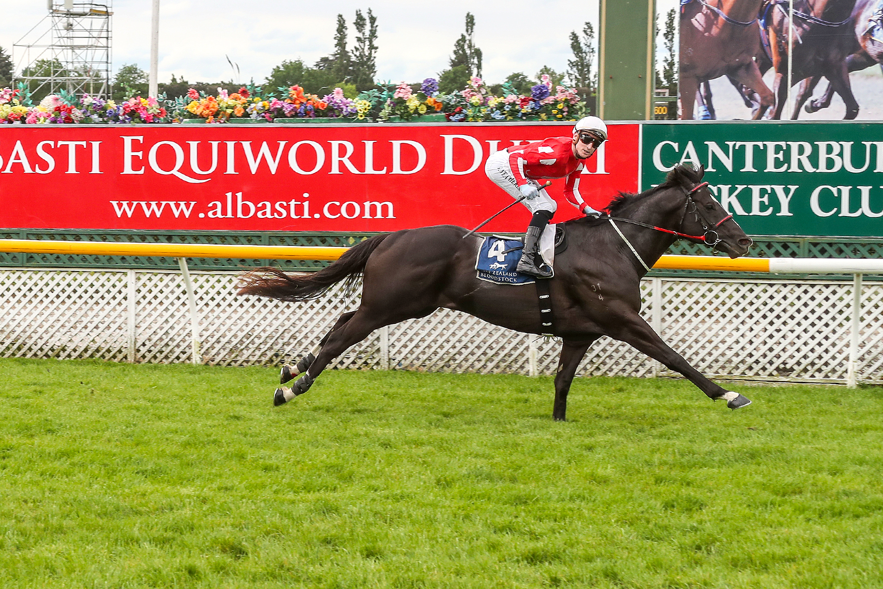 Sensei sensational in Riccarton dash