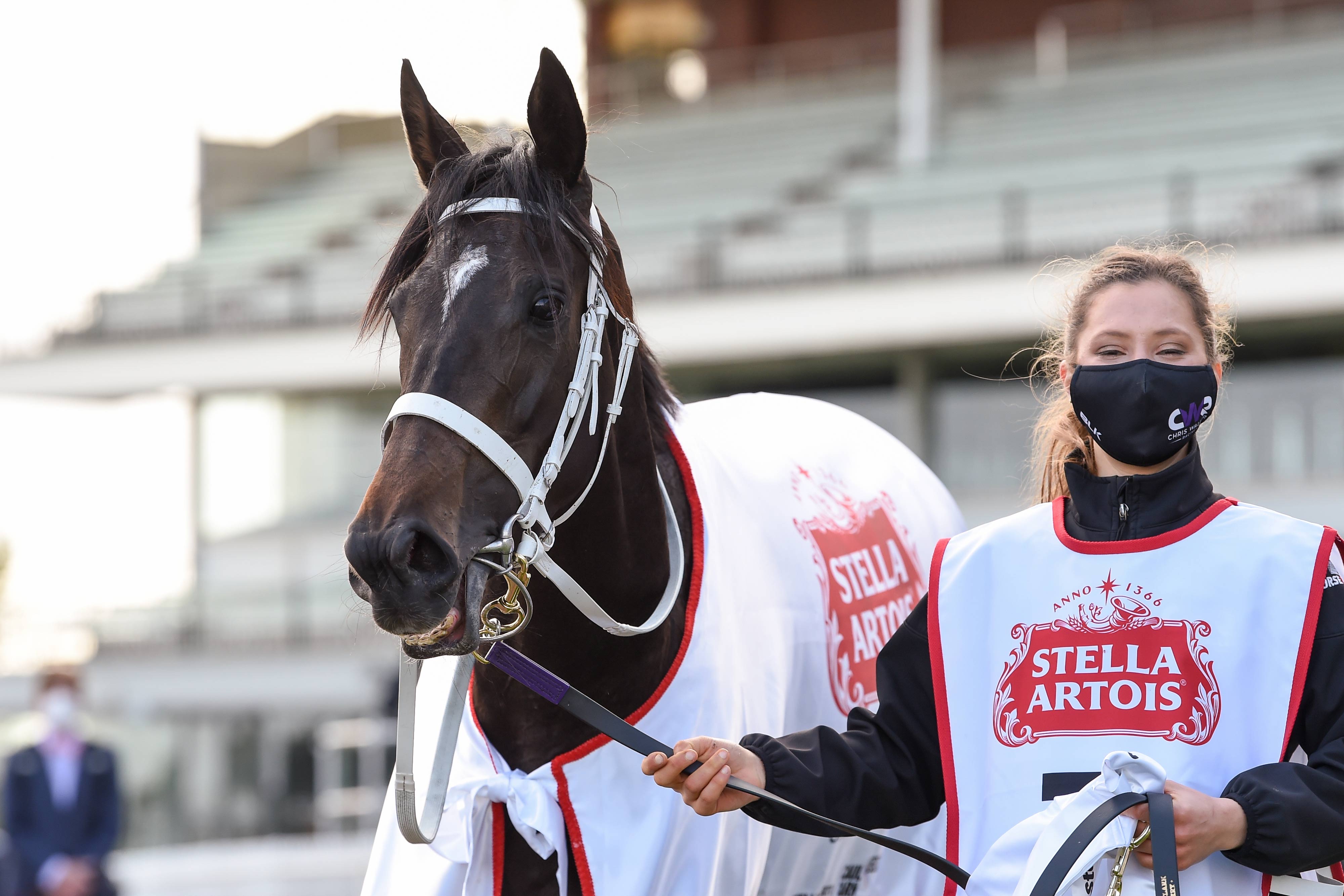 Zed’s Verry Elleegant a testament to breeder’s faith