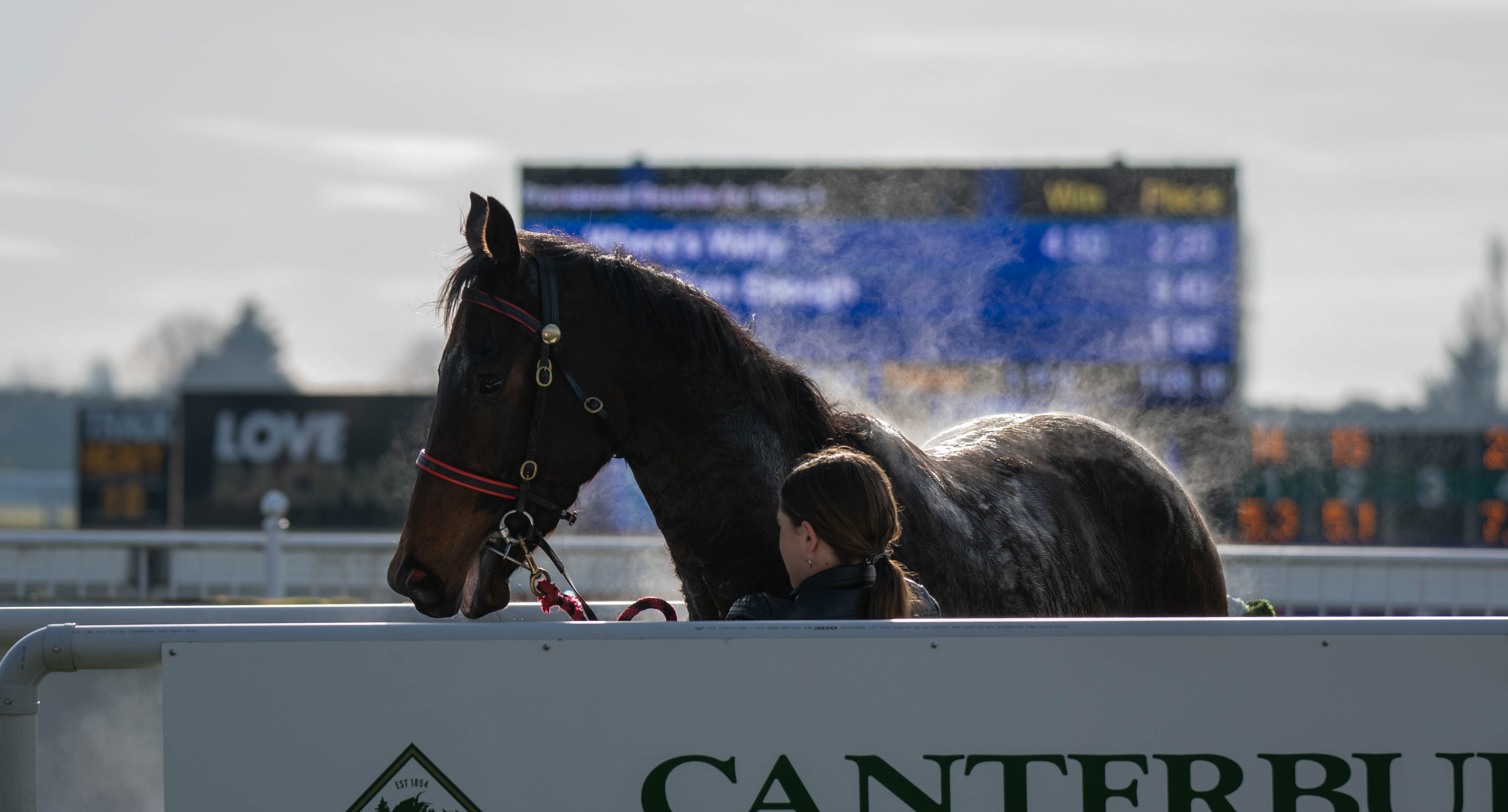 Riccarton Park to race behind closed doors