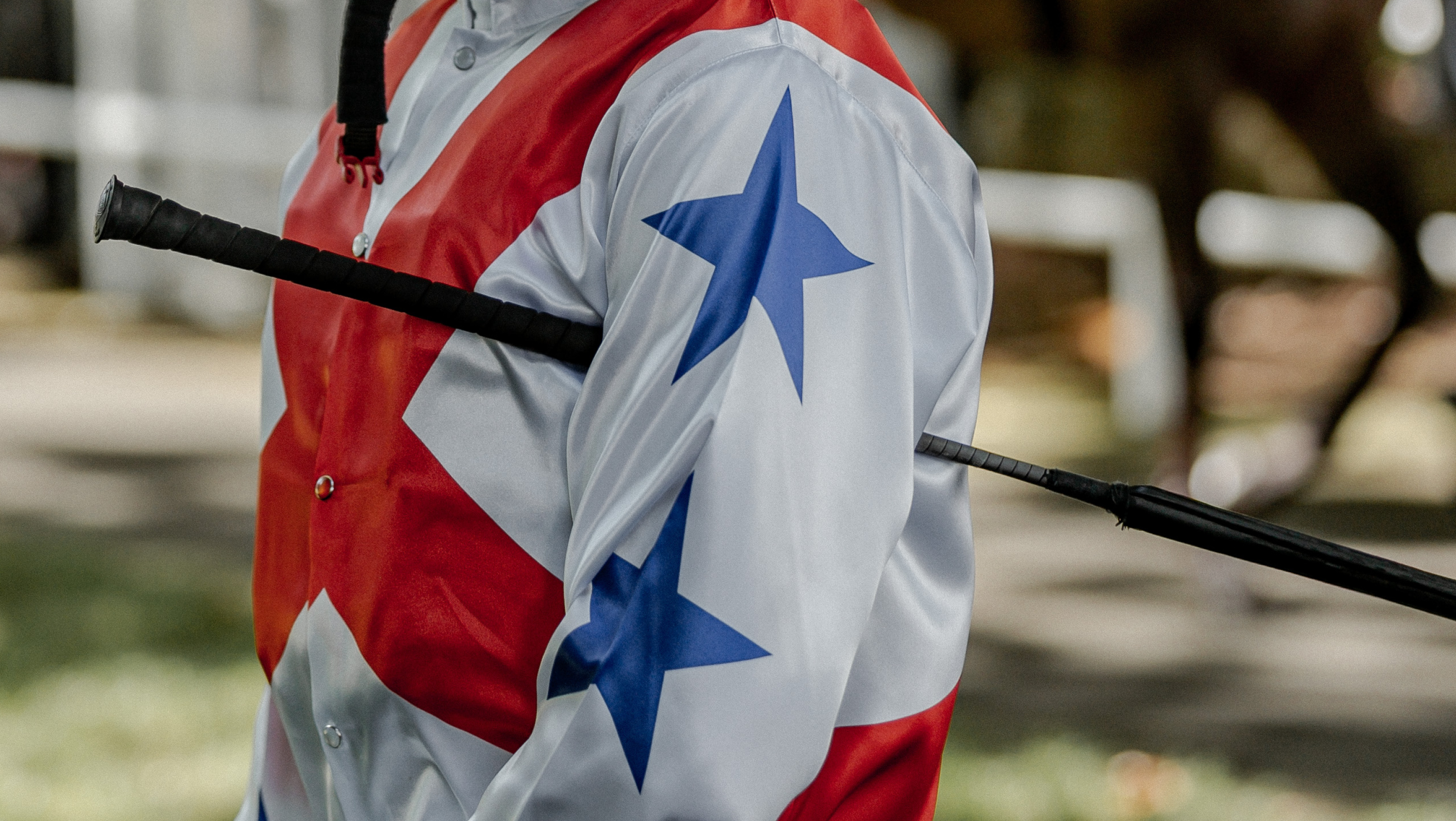 Whip use consultation begins