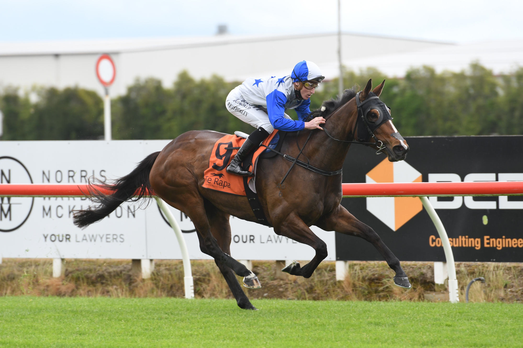 Maiden training win for Doran