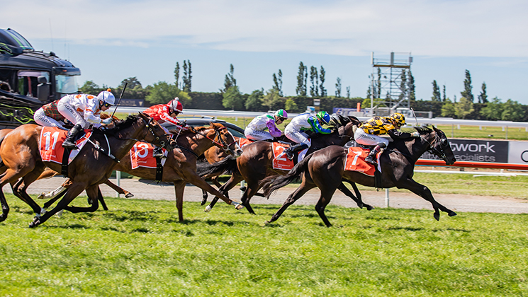 NZ Thoroughbred stake increases announced