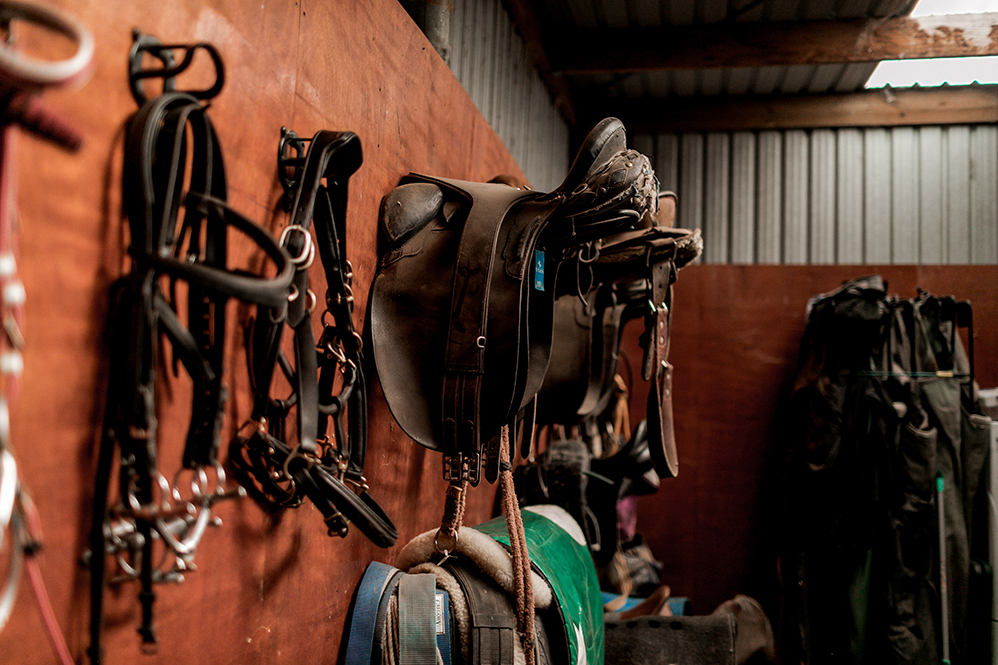 Statement from the Racing Integrity Board