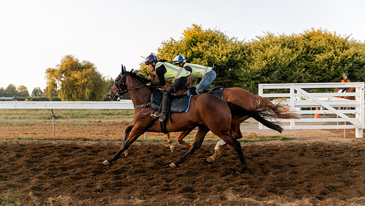 New process to license trackwork riders
