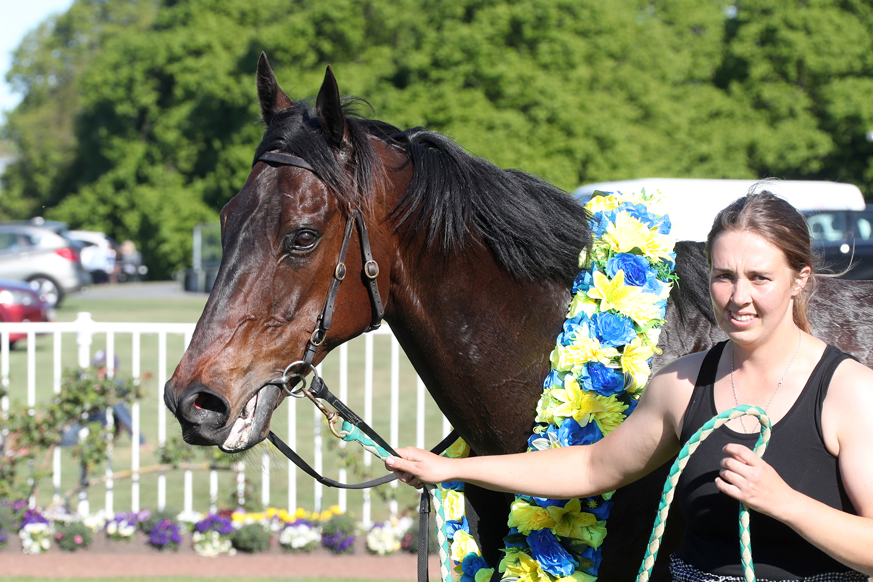 Cunneen getting serious about summer features