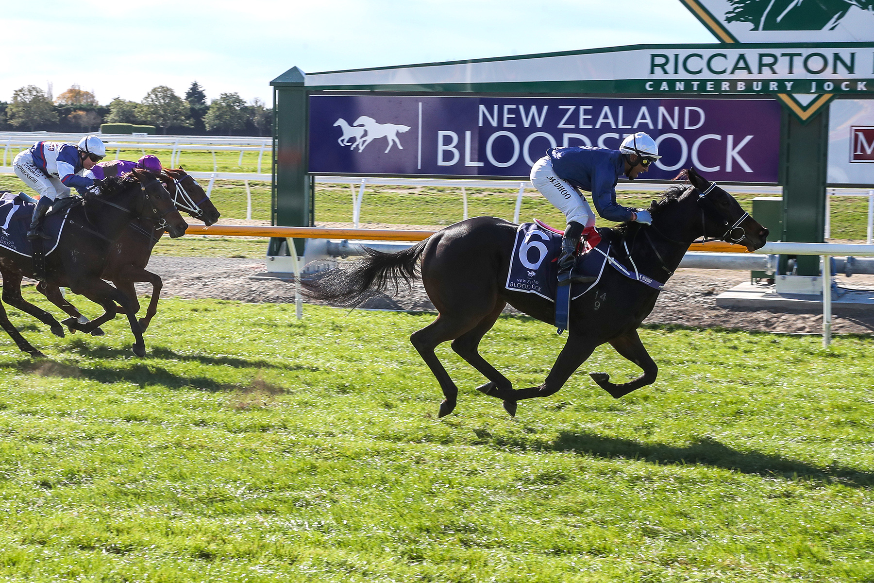 Defiant victory confirms stakes target for promising juvenile