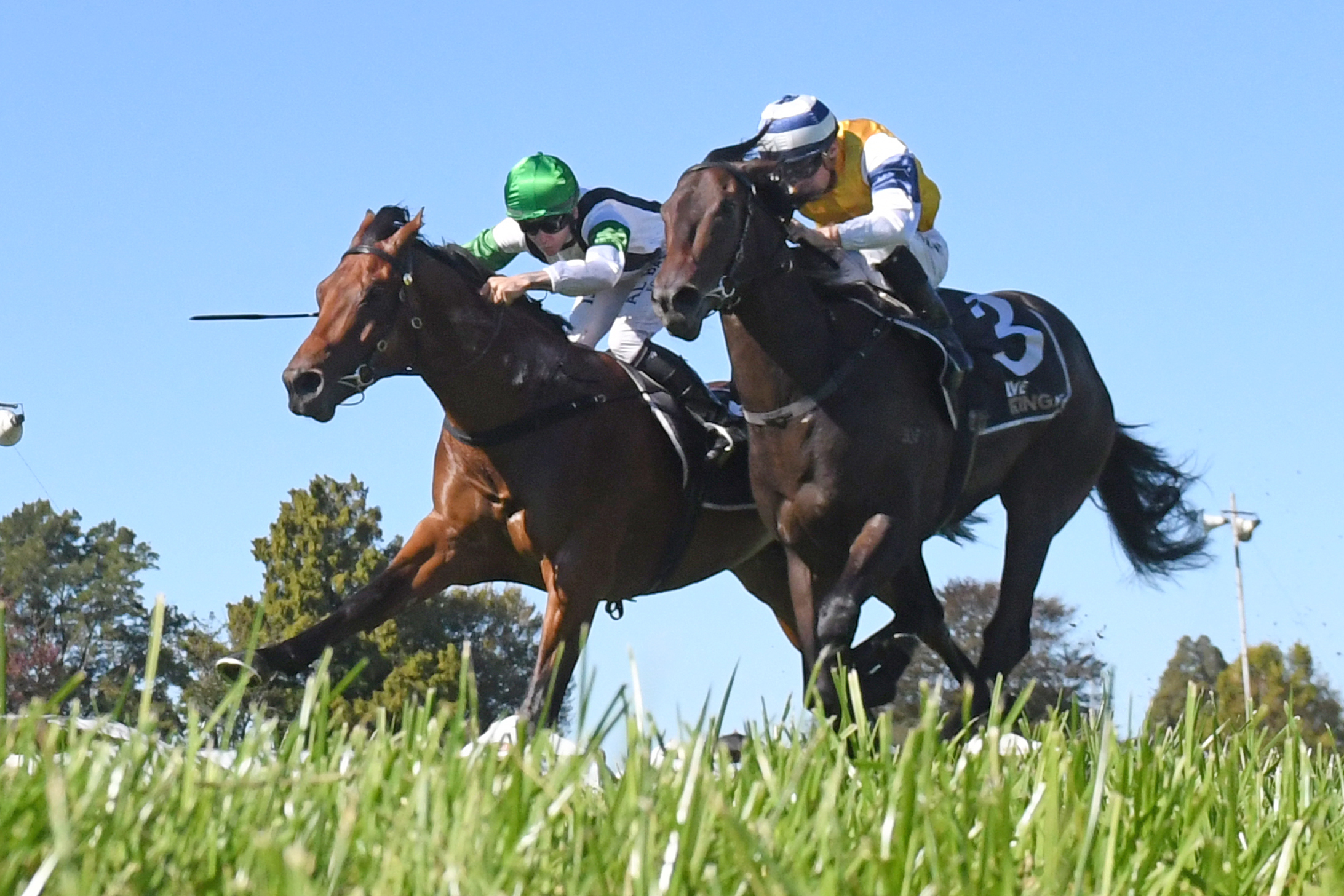 Pike ready to confirm his Queensland winter carnival team