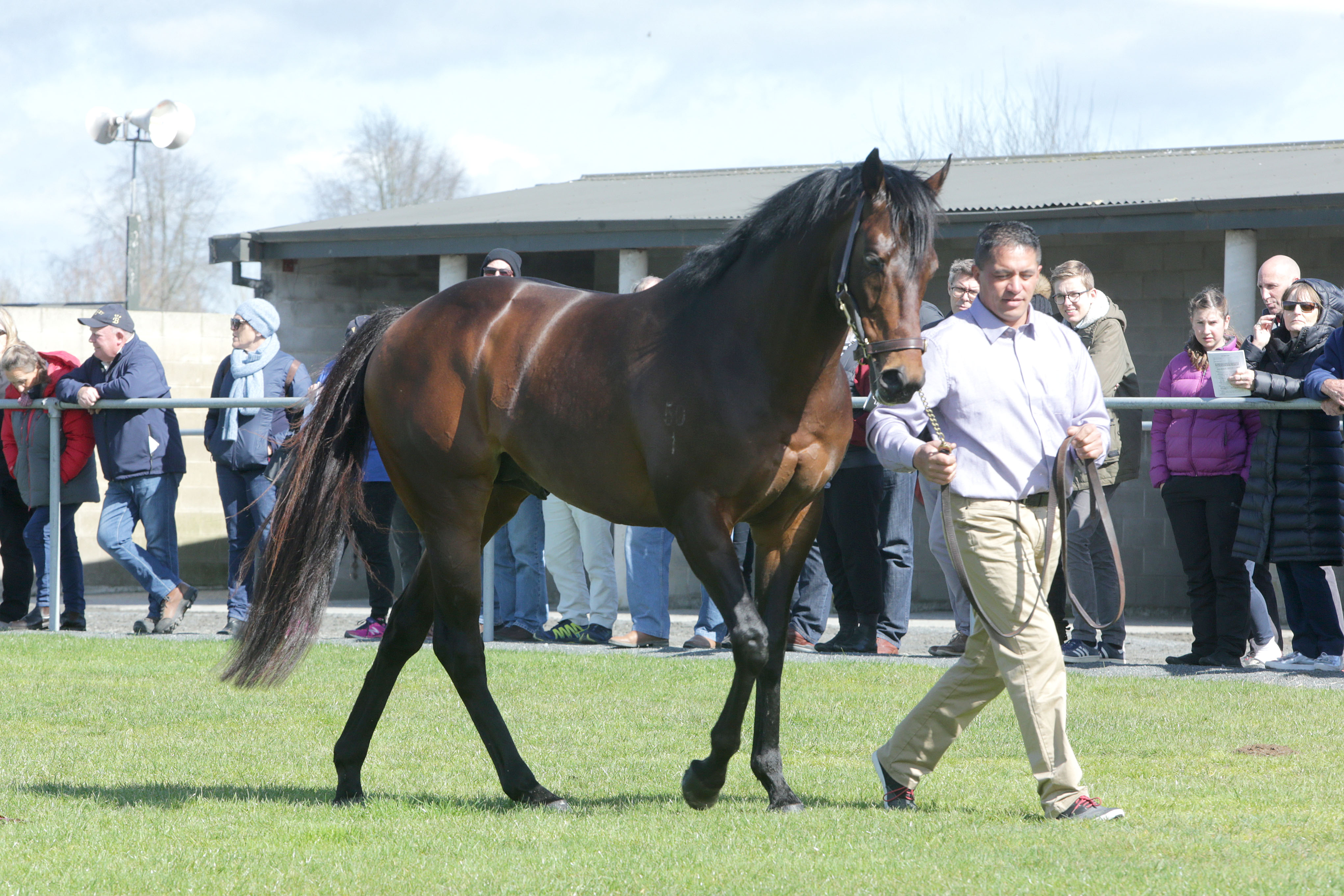 Increased fee for Ocean Emperor