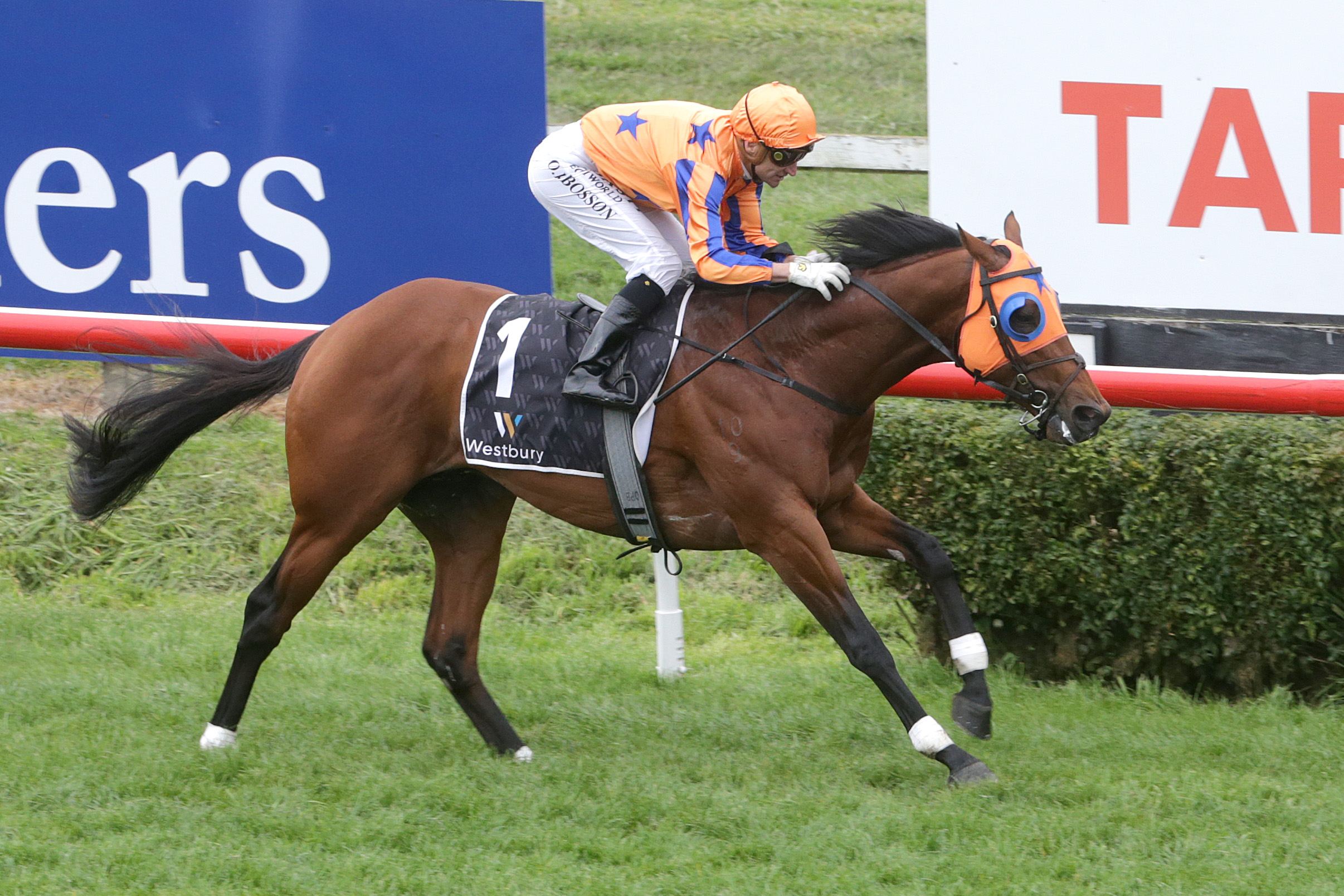 Dynastic dynamic in Hastings feature