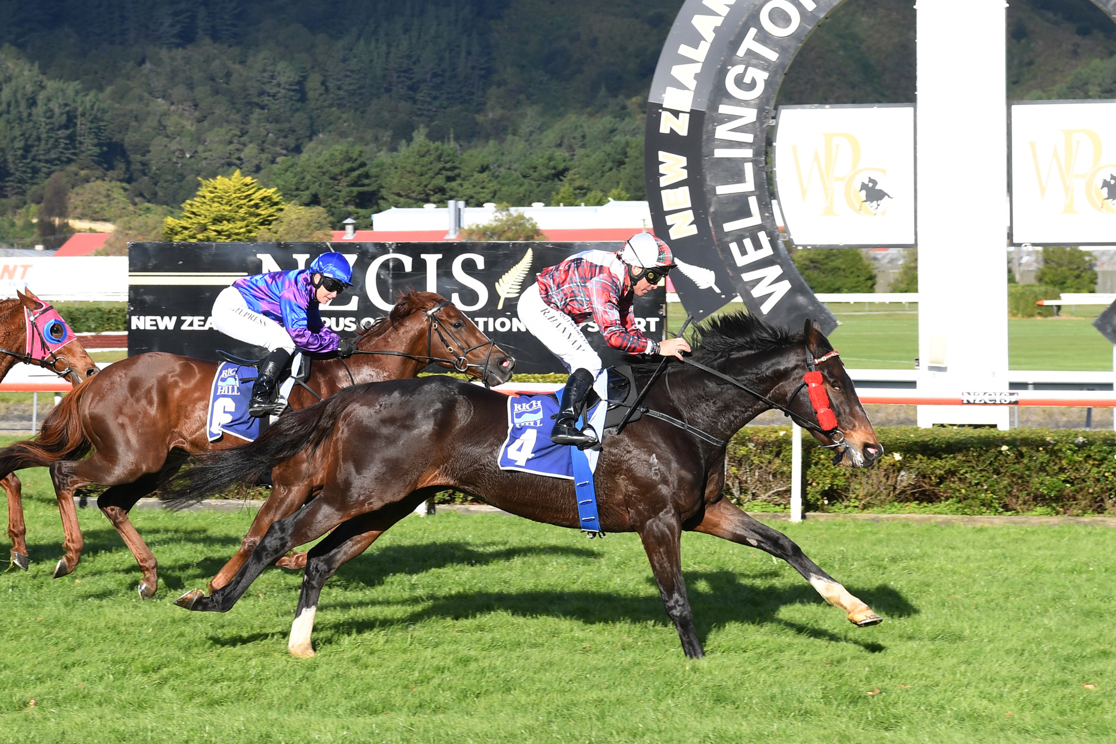 Trip south on the cards for Times Ticking