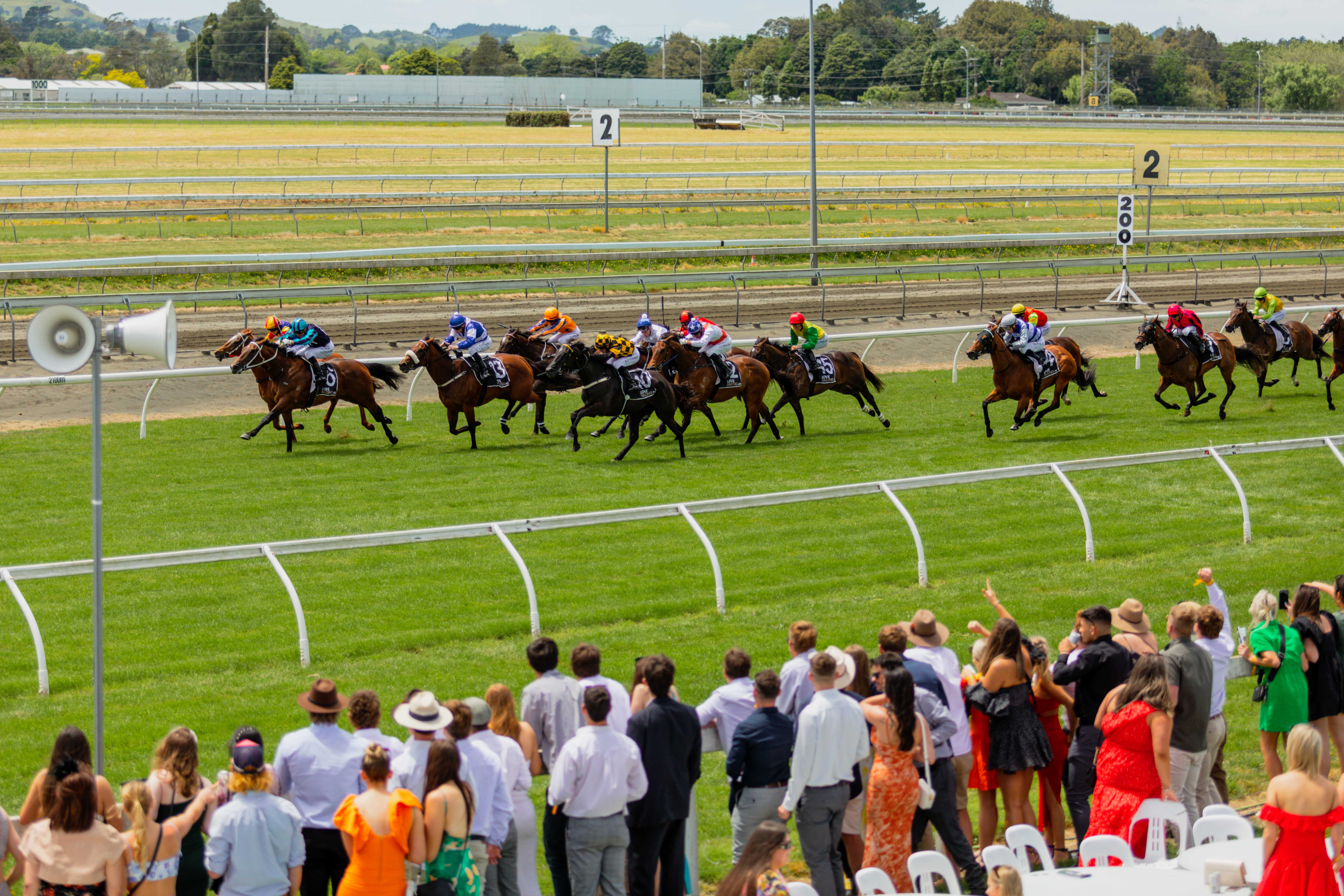 Celebrate your festive season with top-level racing on Boxing Day at ...