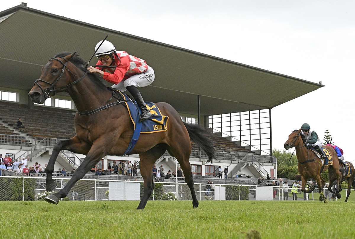 Kingsclere hopeful of winning ensemble on Boxing Day