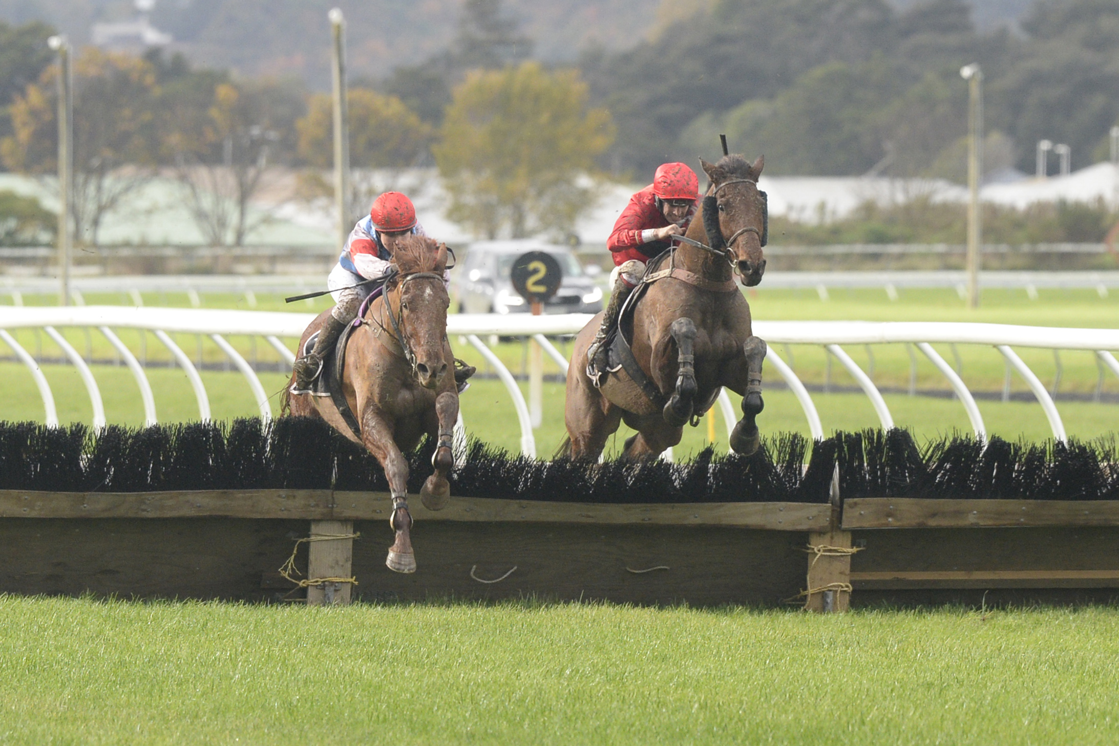 Suliman proves too tough in Awapuni Hurdle