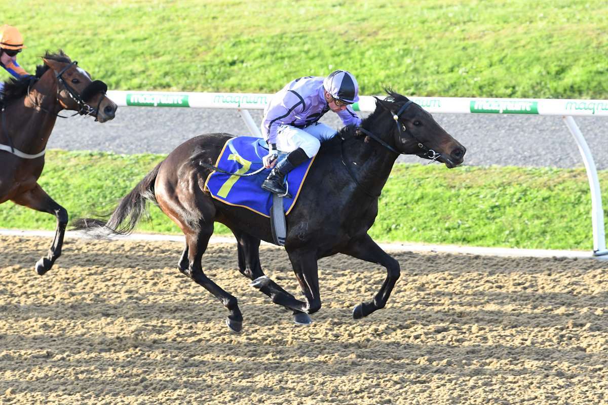 Ride of the Week - Michael McNab