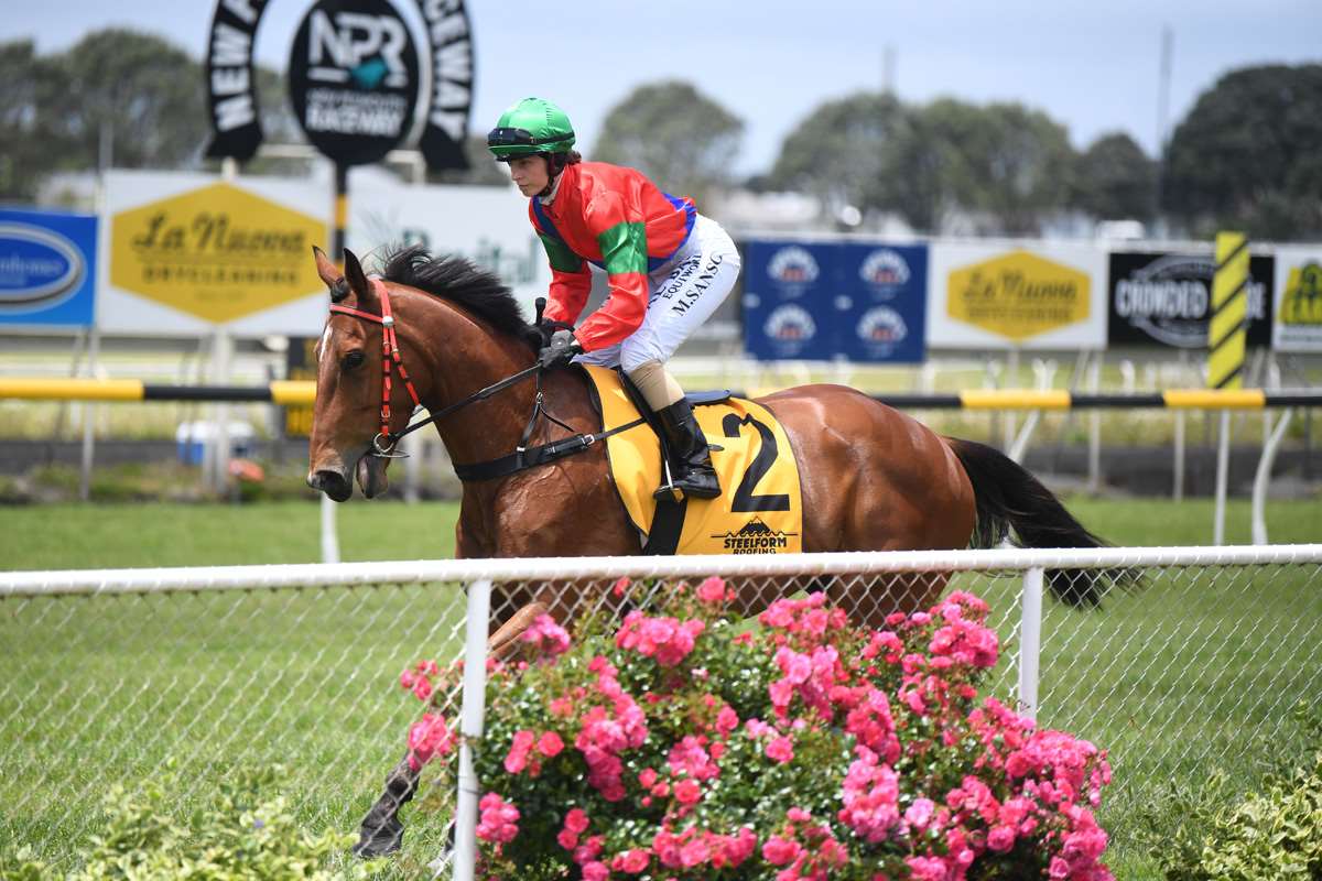 All in for Awapuni with progressive stayer