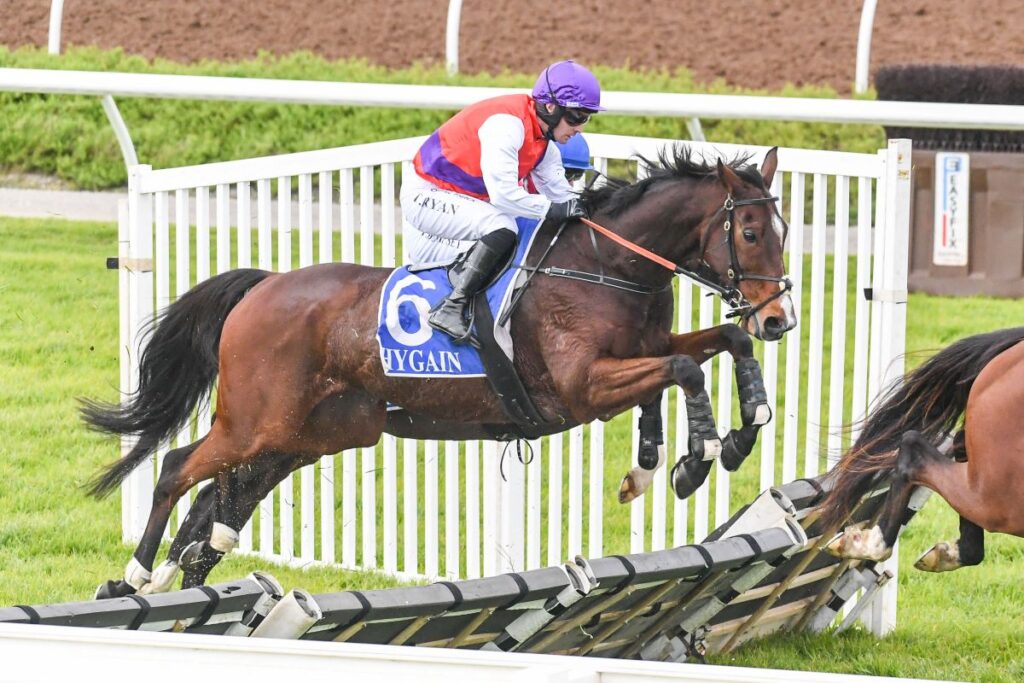 Kiwi-bred jumper claims iconic Drechsler Hurdle