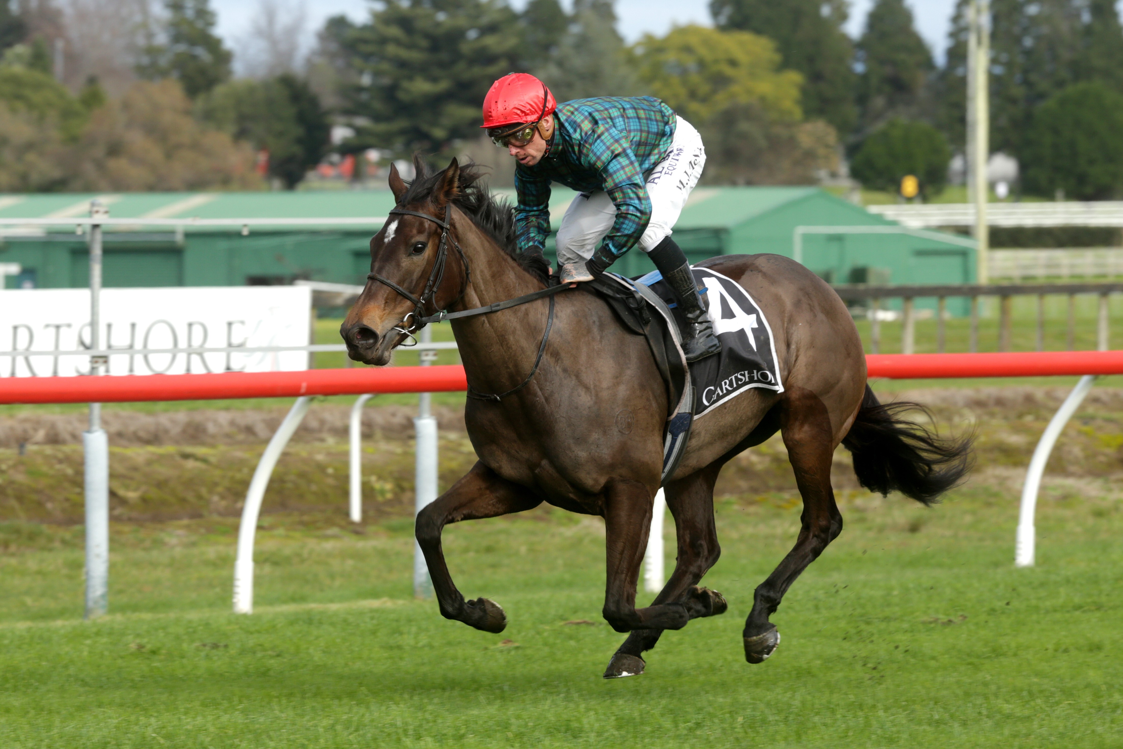 Cork ready for delayed first-up Classic challenge