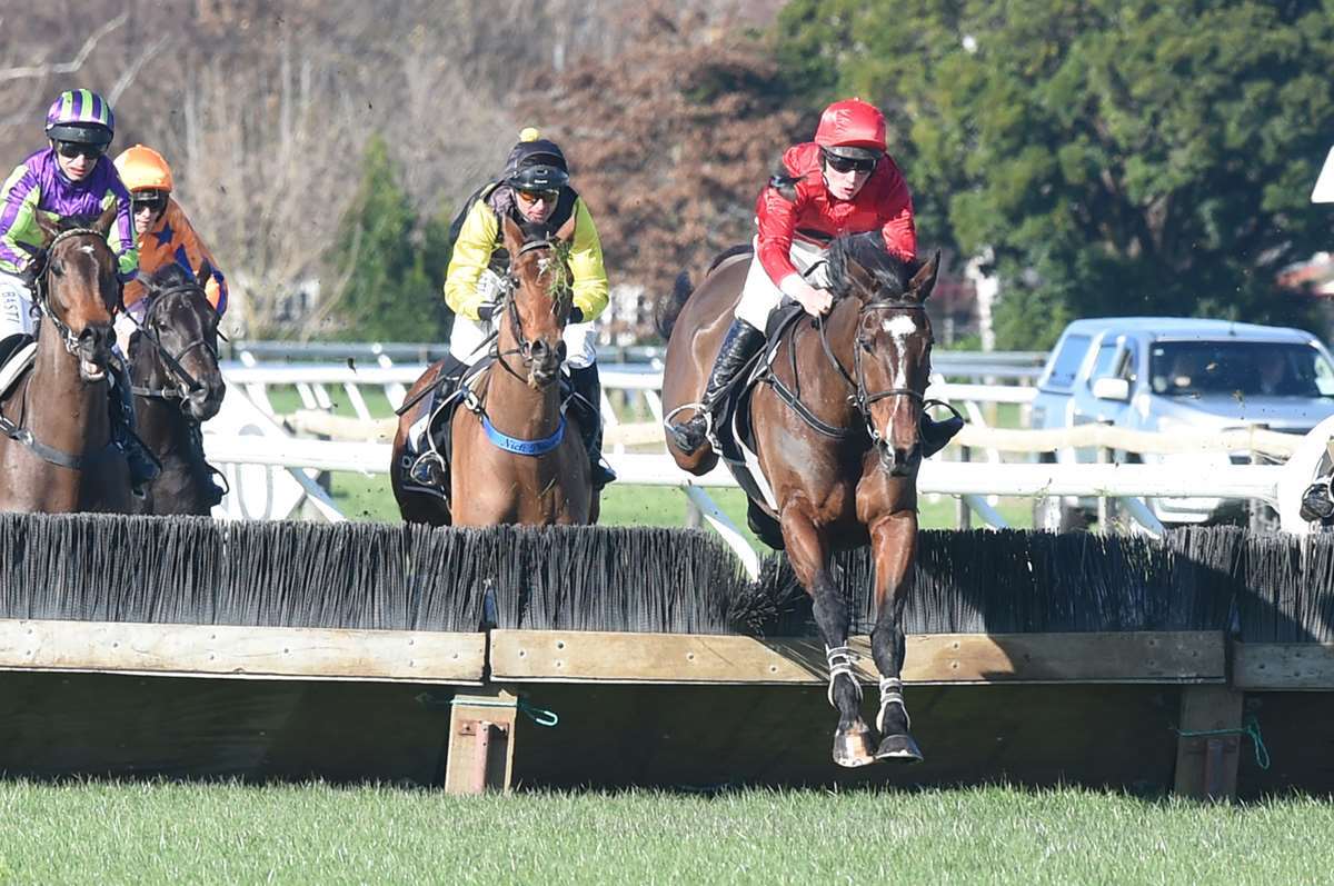 Irish jockey Powers home for first NZ win