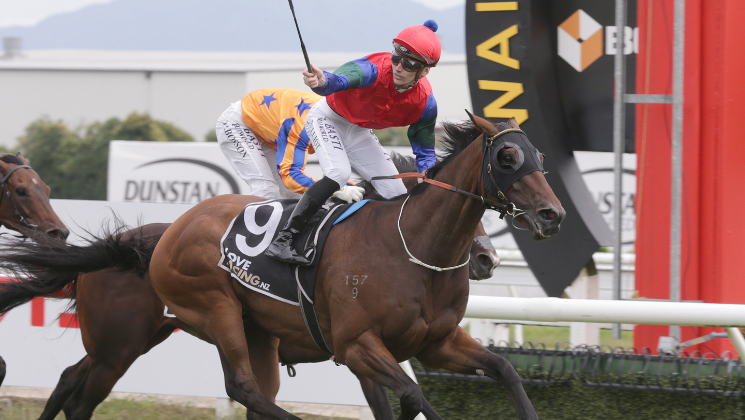 Quiet start to big prep for Sharp ‘N’ Smart