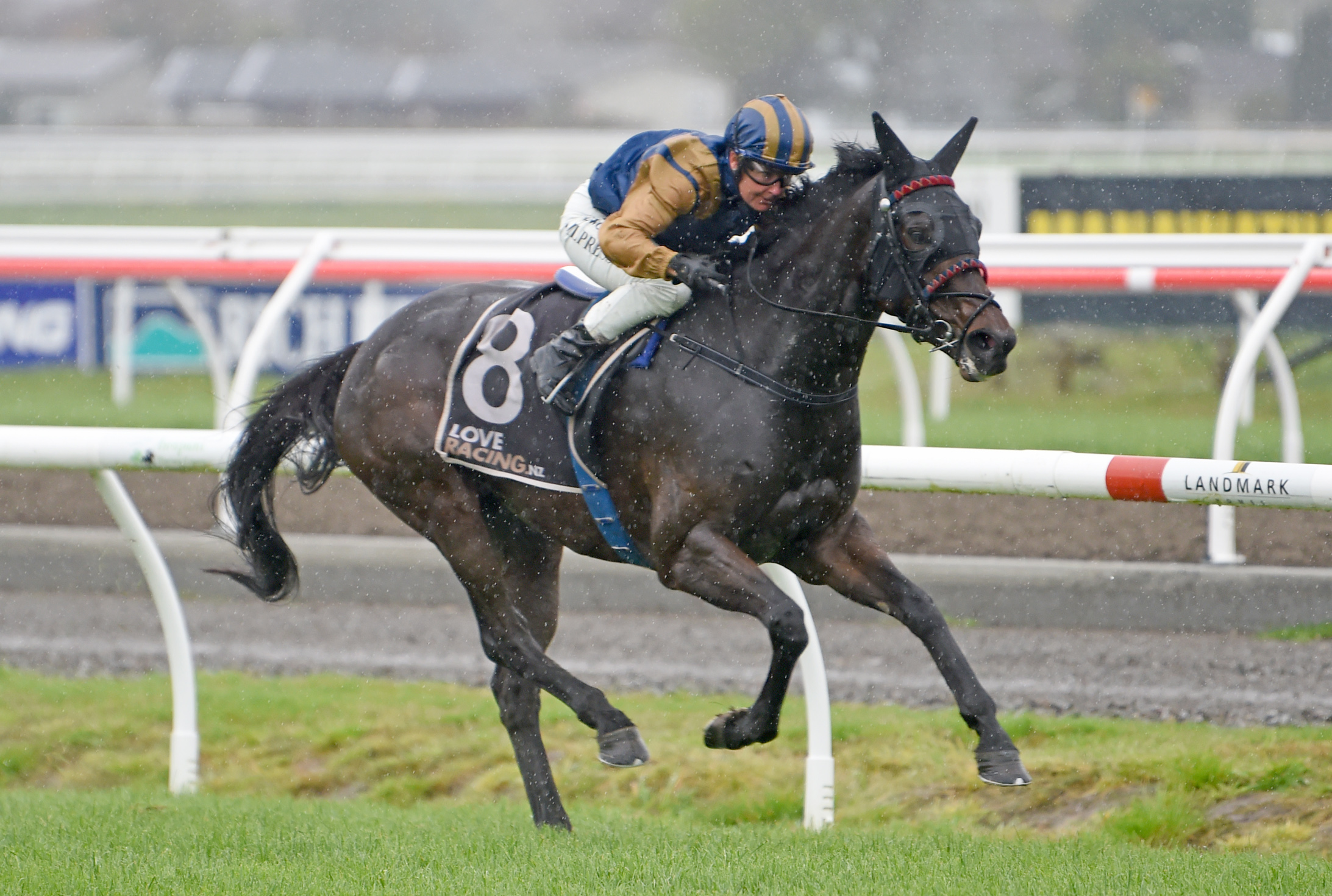 Idyllic too fast at Awapuni