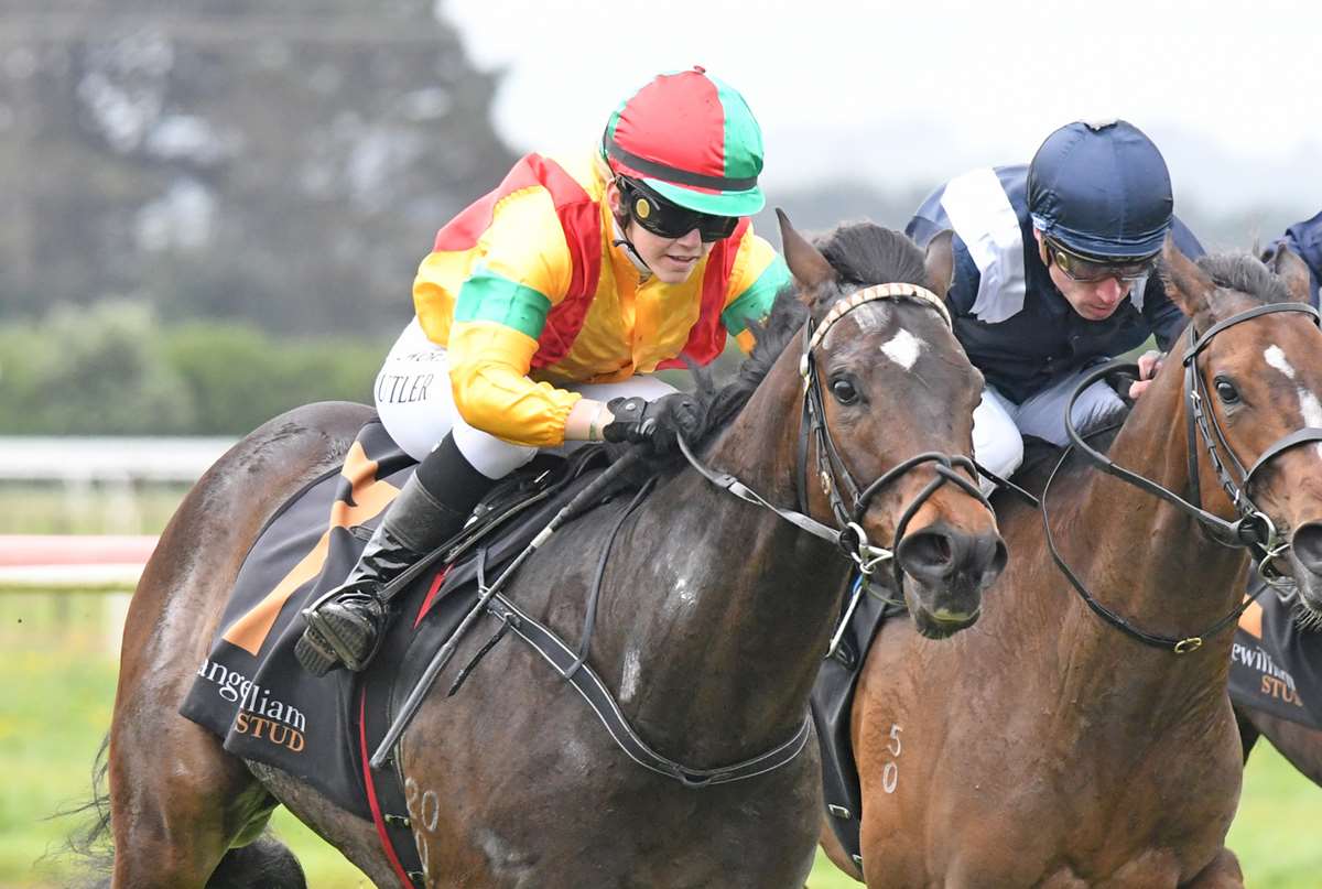 Sharrock has big plans for impressive Hawera winner