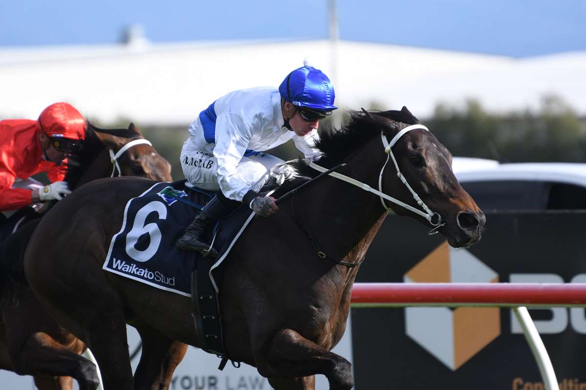 Marsh brings winning form into carnival opener