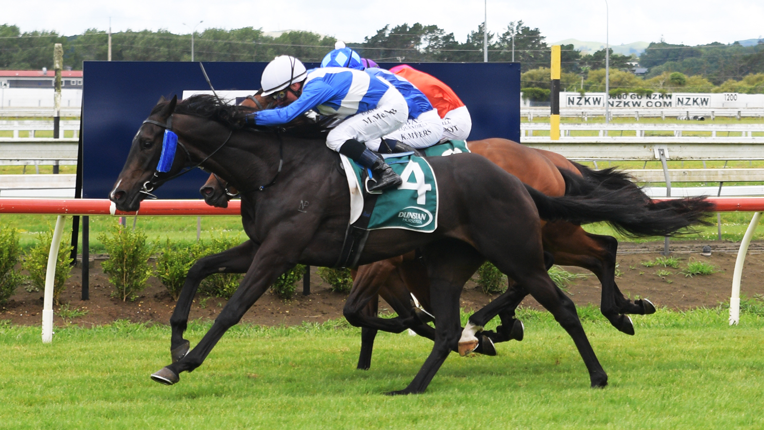 Trust In You wins Dunstan Stayers Championship Final