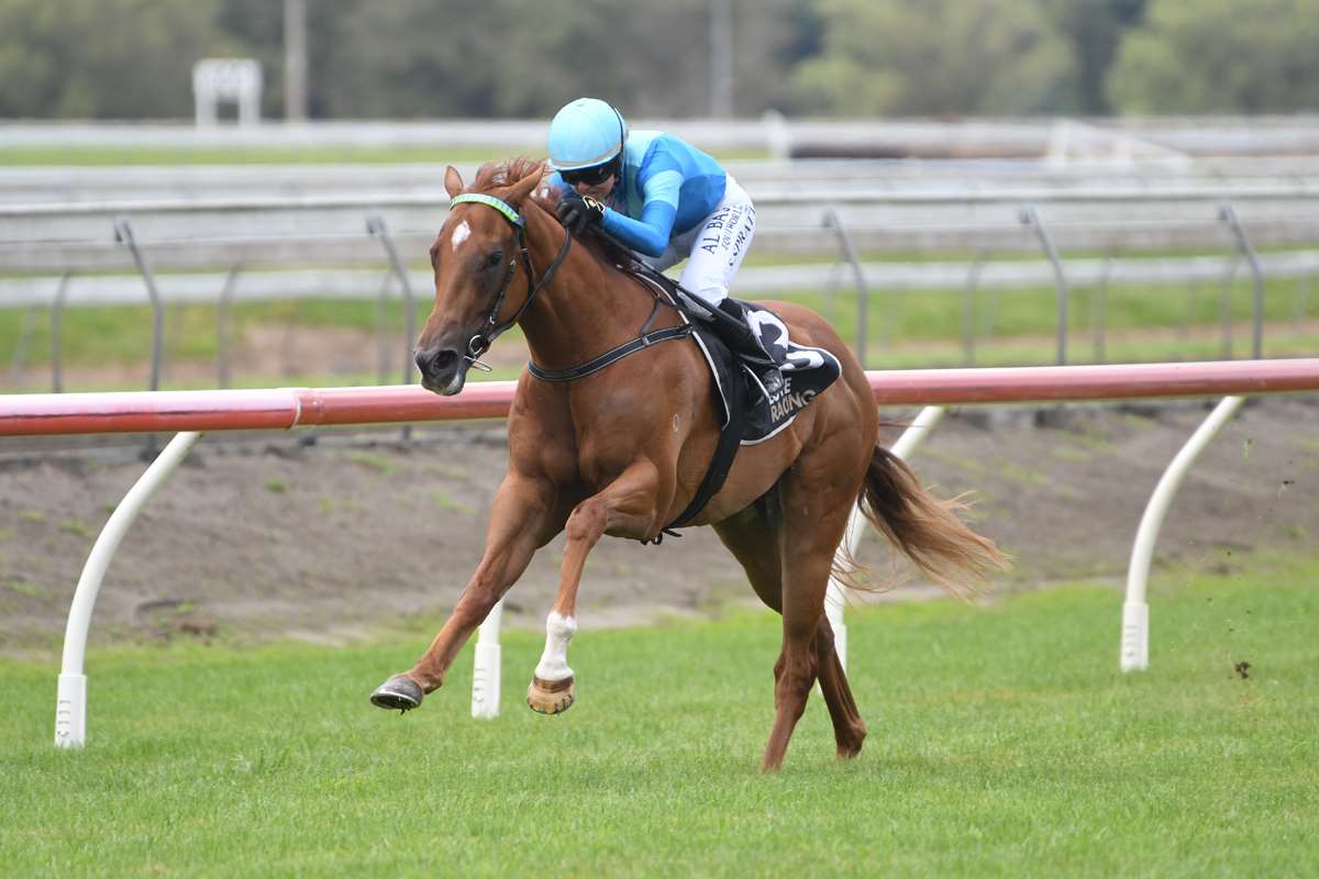 Crocetti impressive on debut