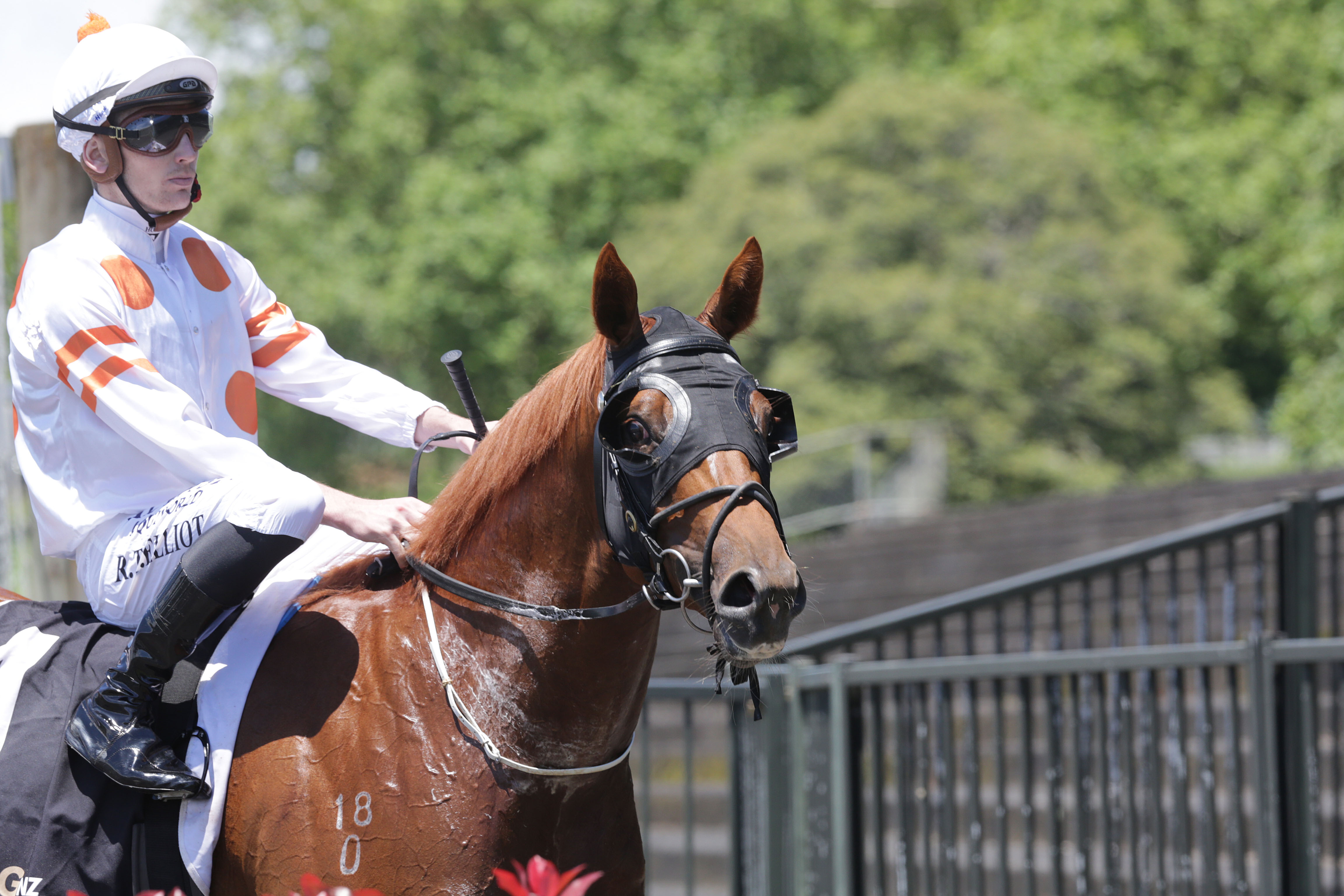 Dapper puts best foot forward