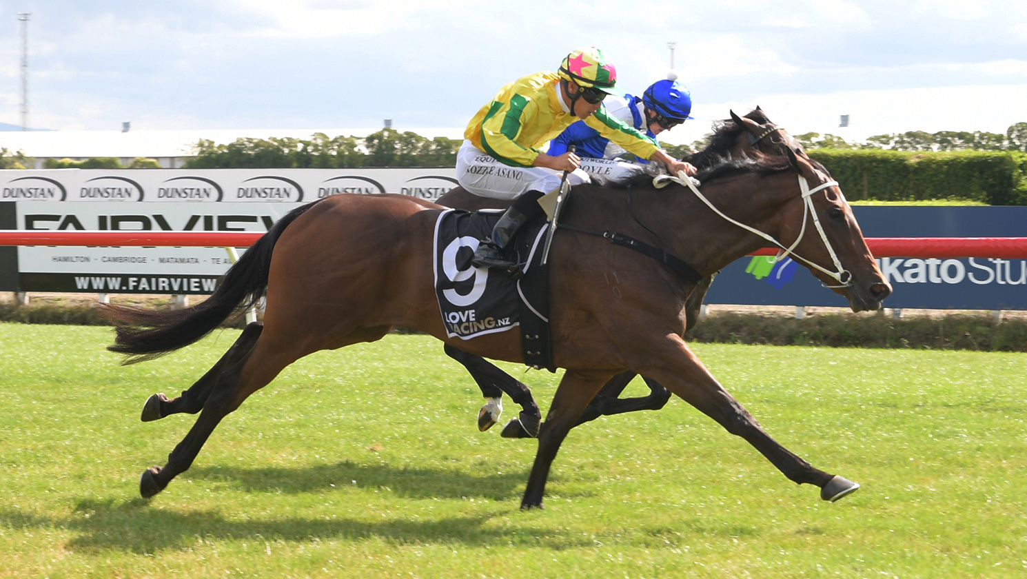 Dreams Come True for Van Dyk