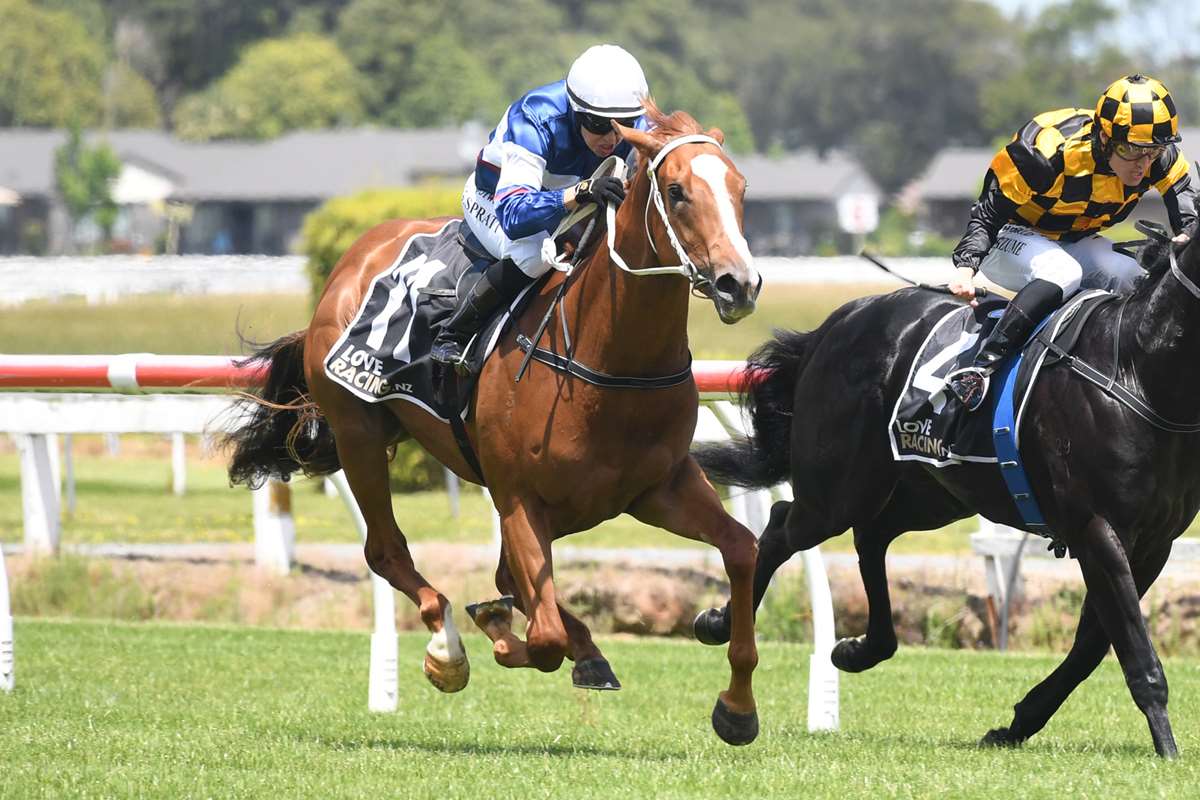 Go Racing back in Millions frame with Velocious