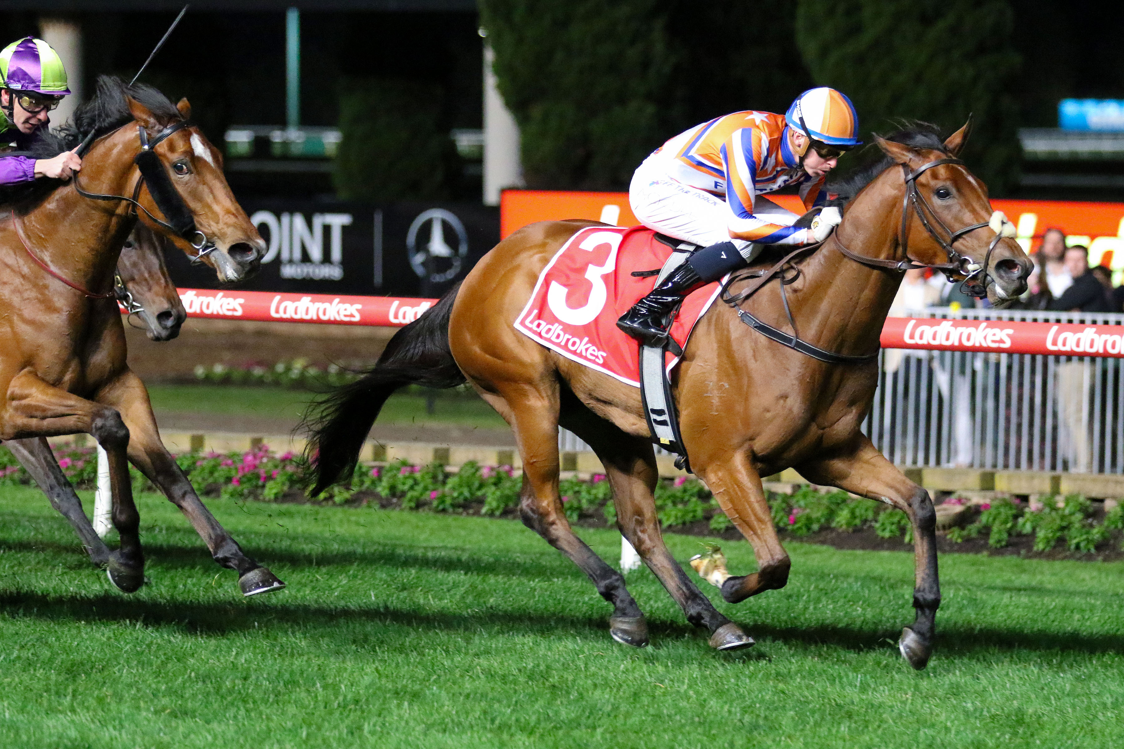 Group One target in the offing for Bellatrix Star