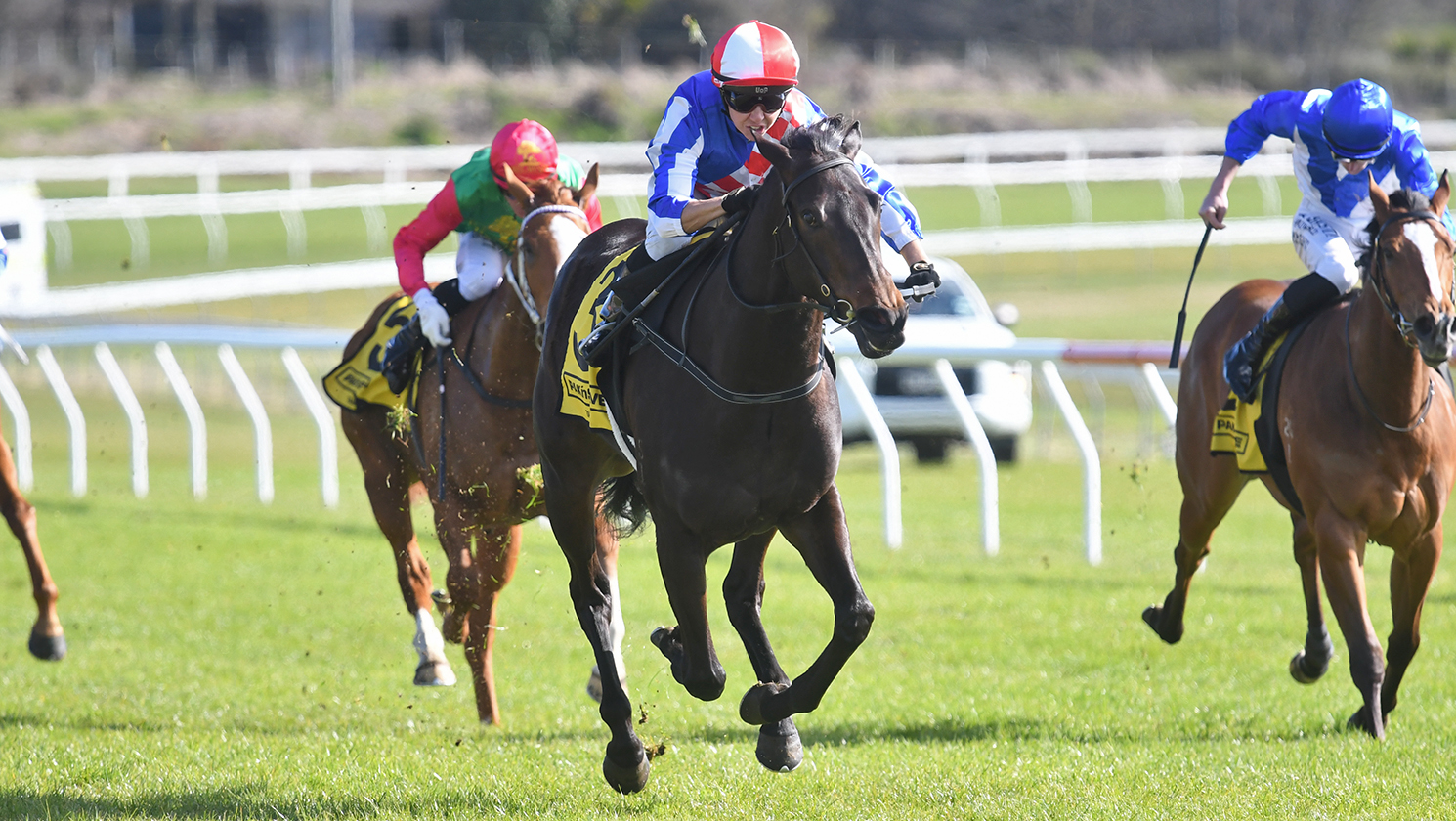 Kelso hopes Soliloquy Stakes history repeats