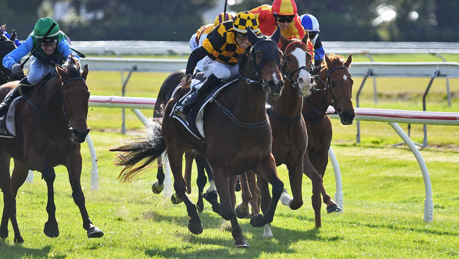 Stakes winner ready for Tauranga assignment