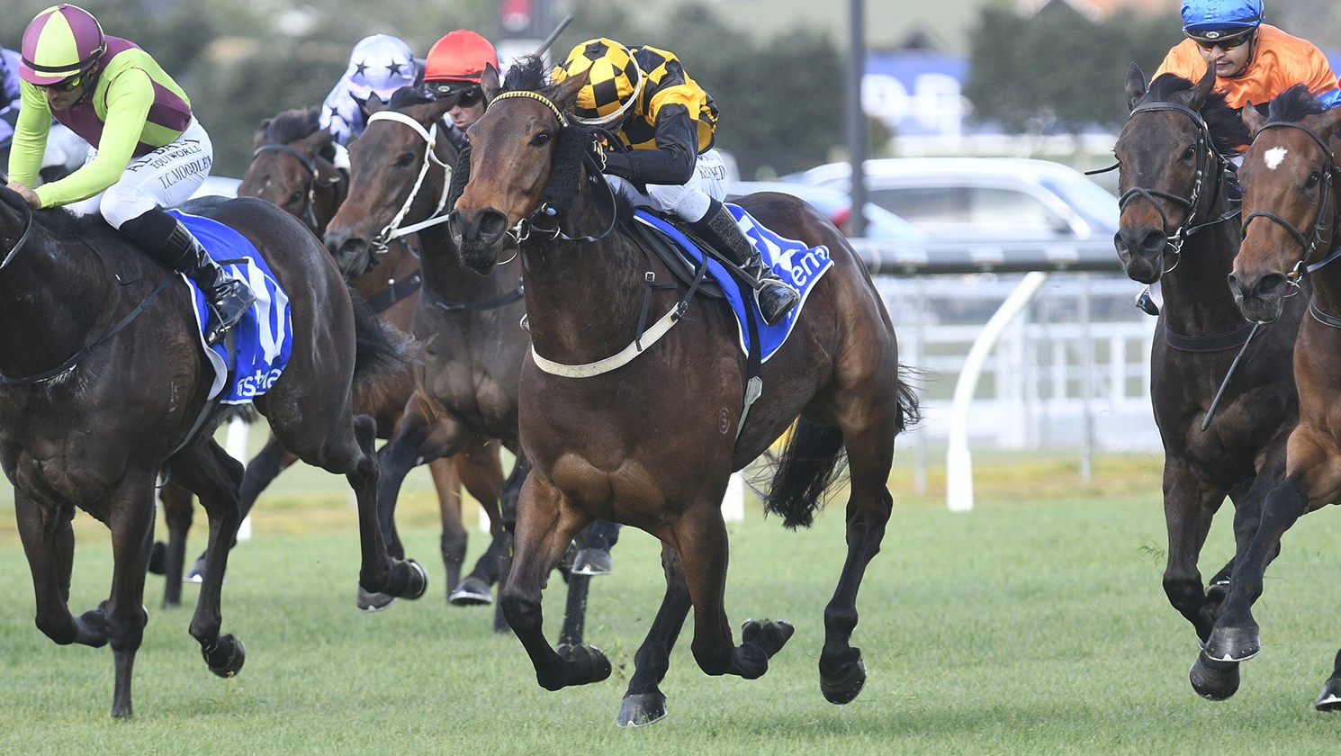 Spring starting to heat up for Noble