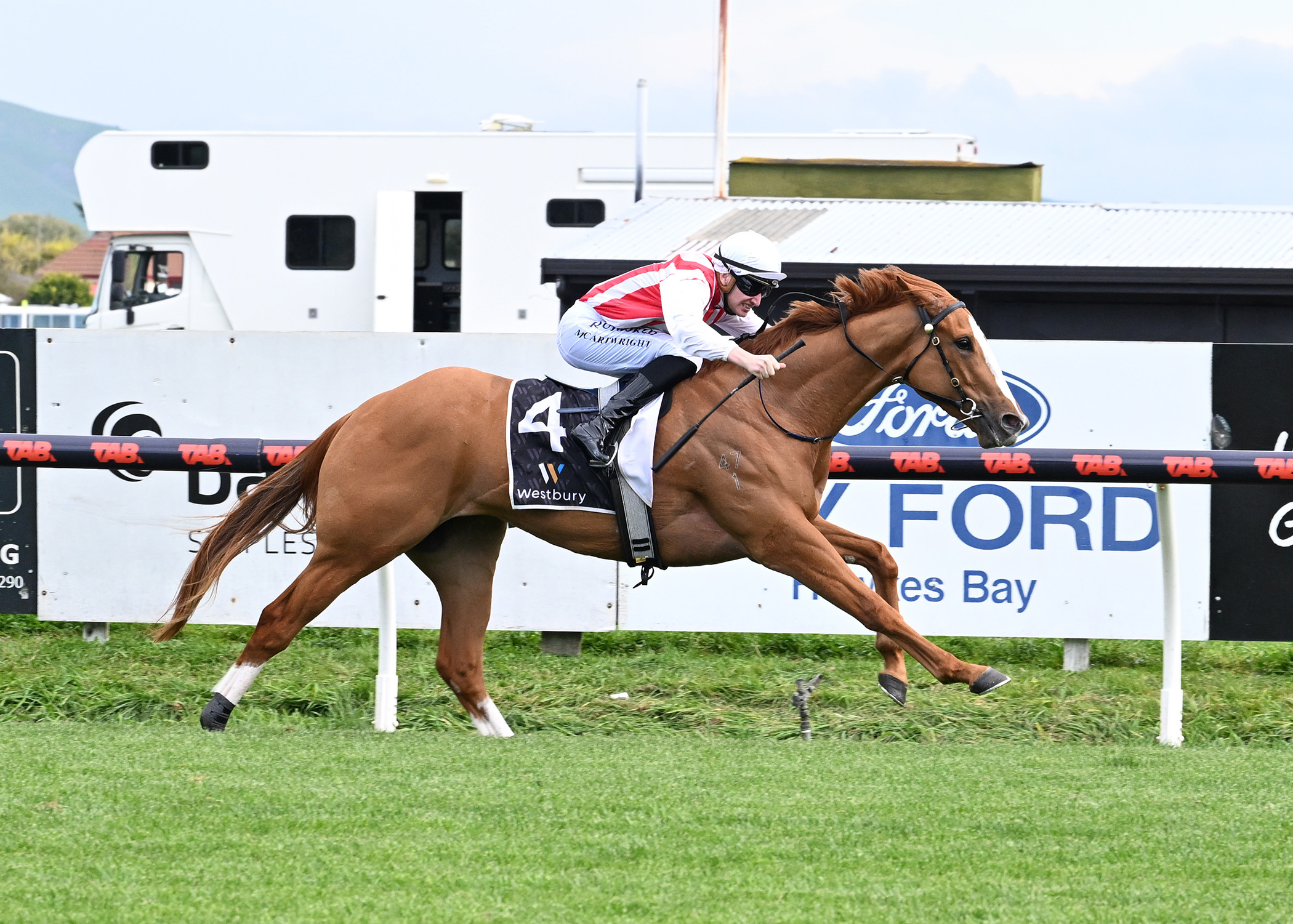 Hastings key indicator to Poetic Champion’s immediate future