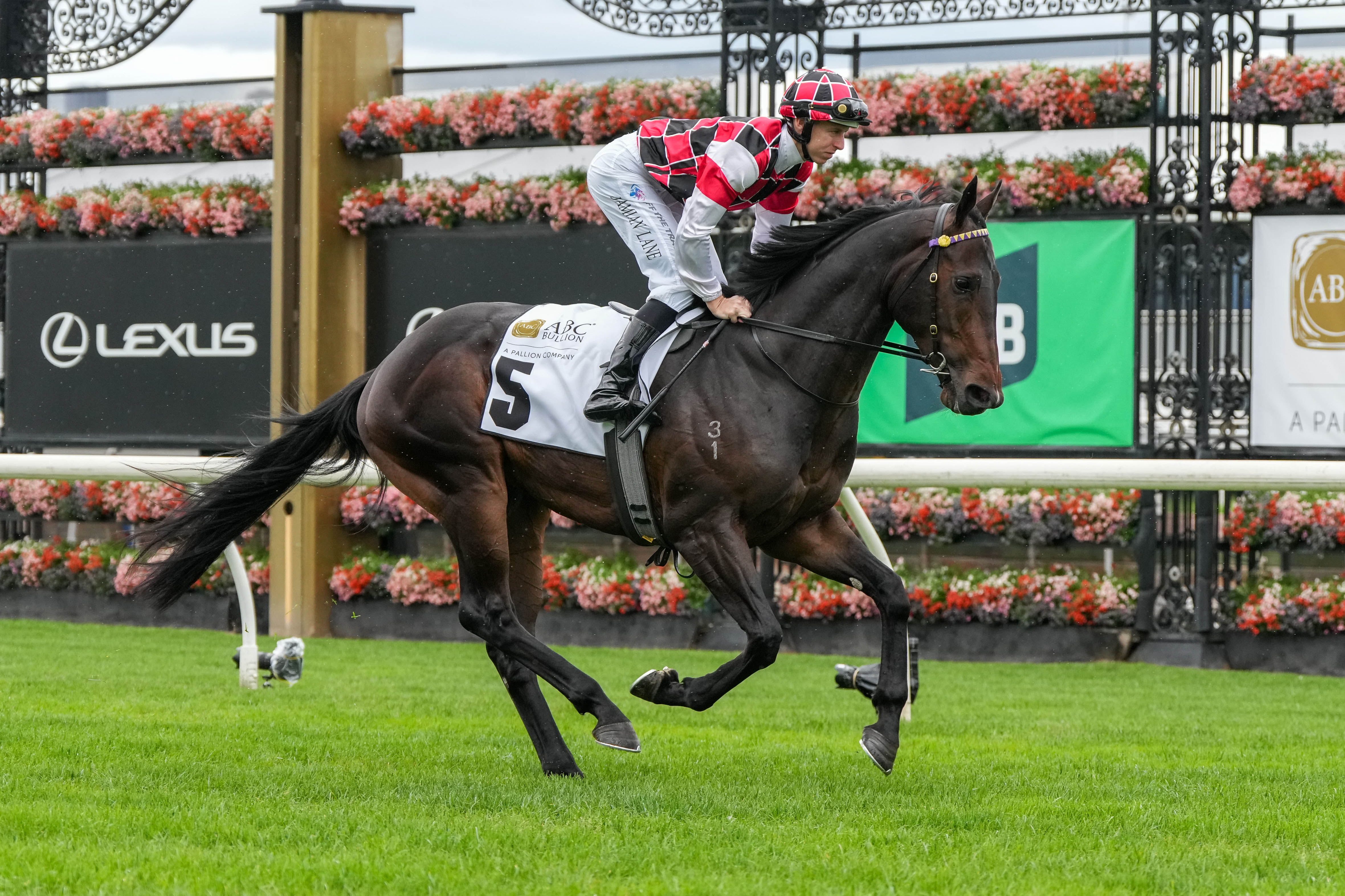 Scary on target for VRC Derby