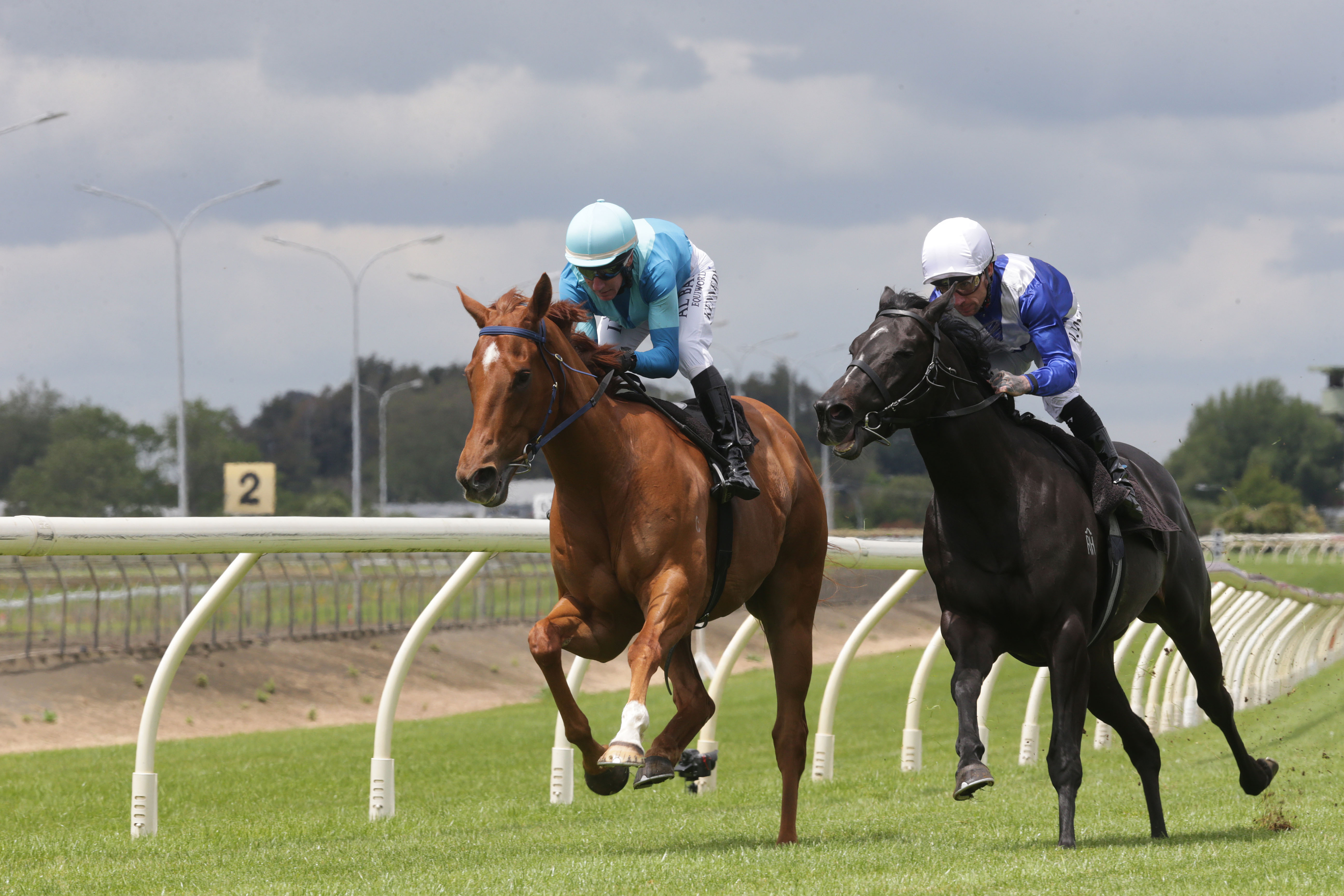 Crocetti impresses in Pukekohe gallop