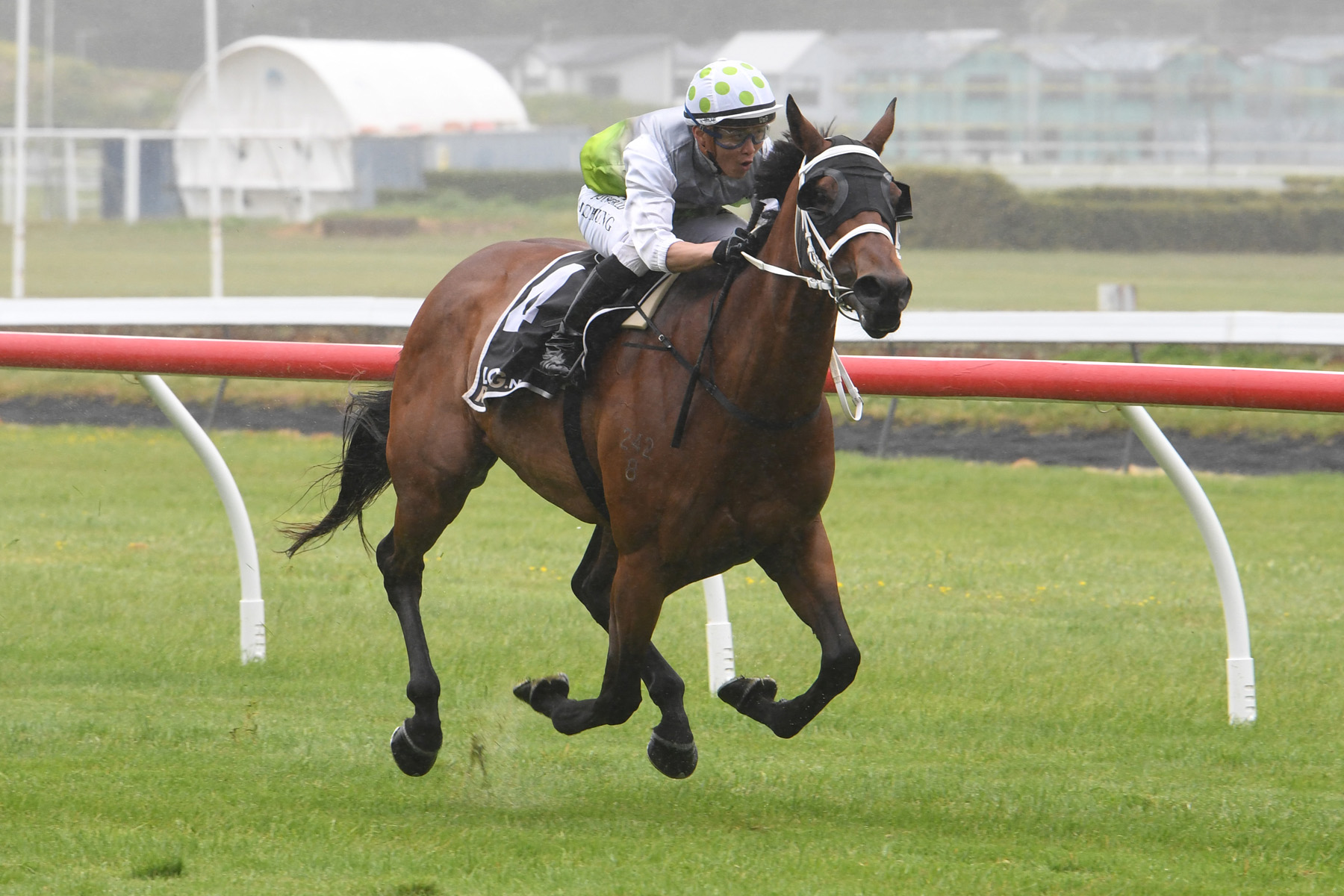 Mare set to overcome a few hurdles ahead of Telegraph test