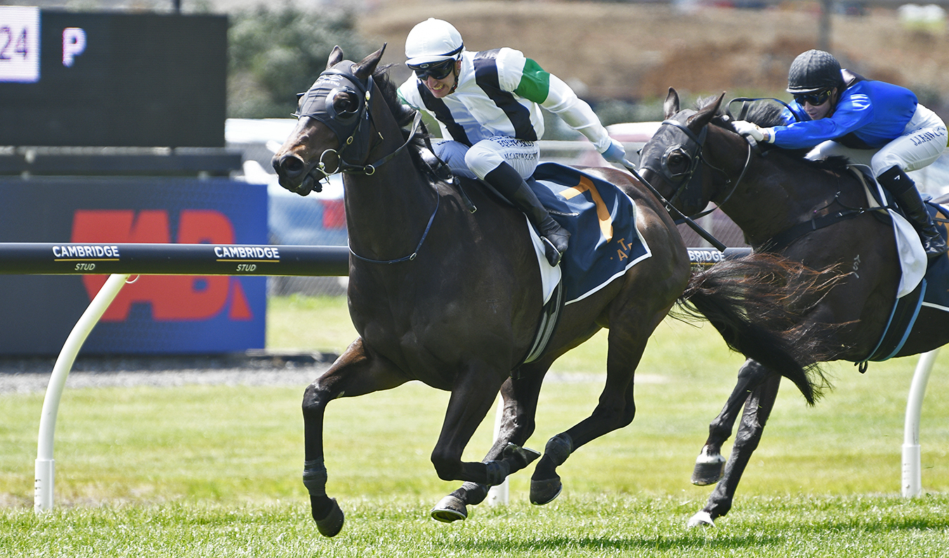 Stakes hopes in tip-top order for southern challenges