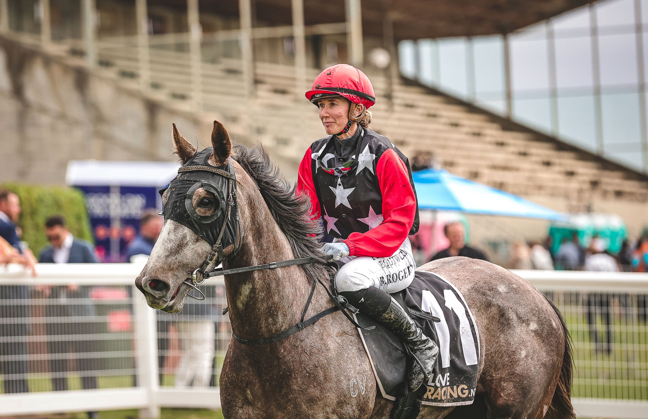 The Grey Goose flying ahead of distance targets