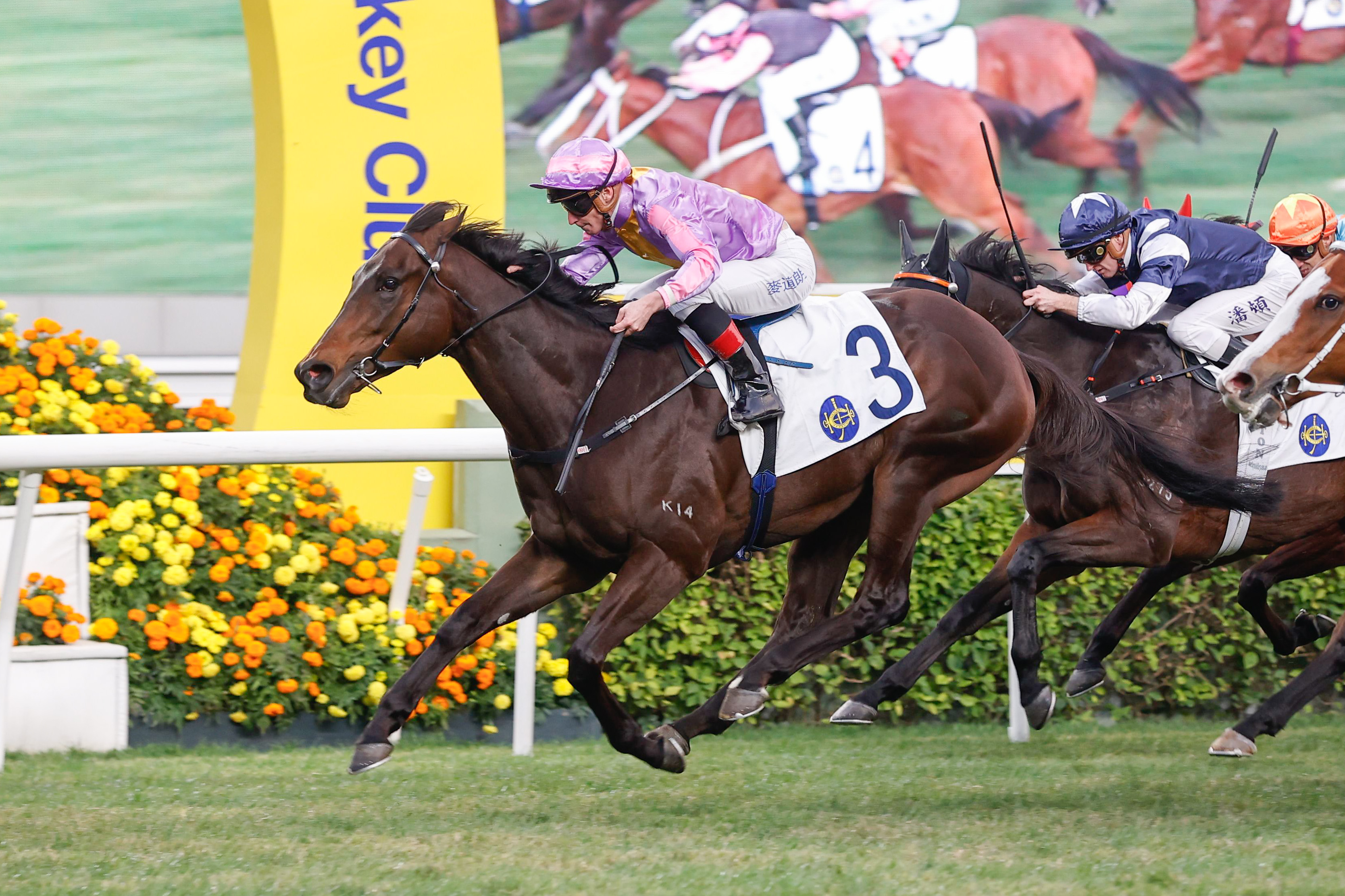 McDonald dominates Sha Tin with a four-timer