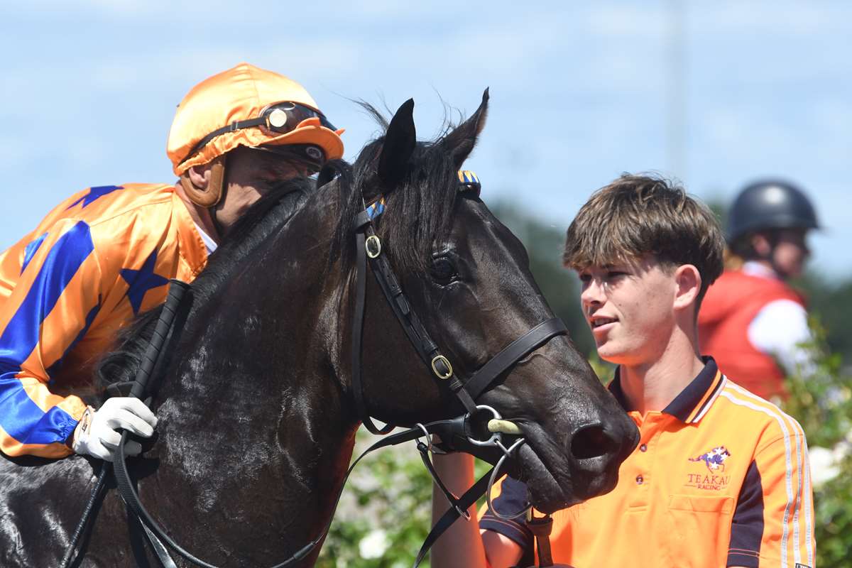 Seymour Cup winner hunting NZ spoils